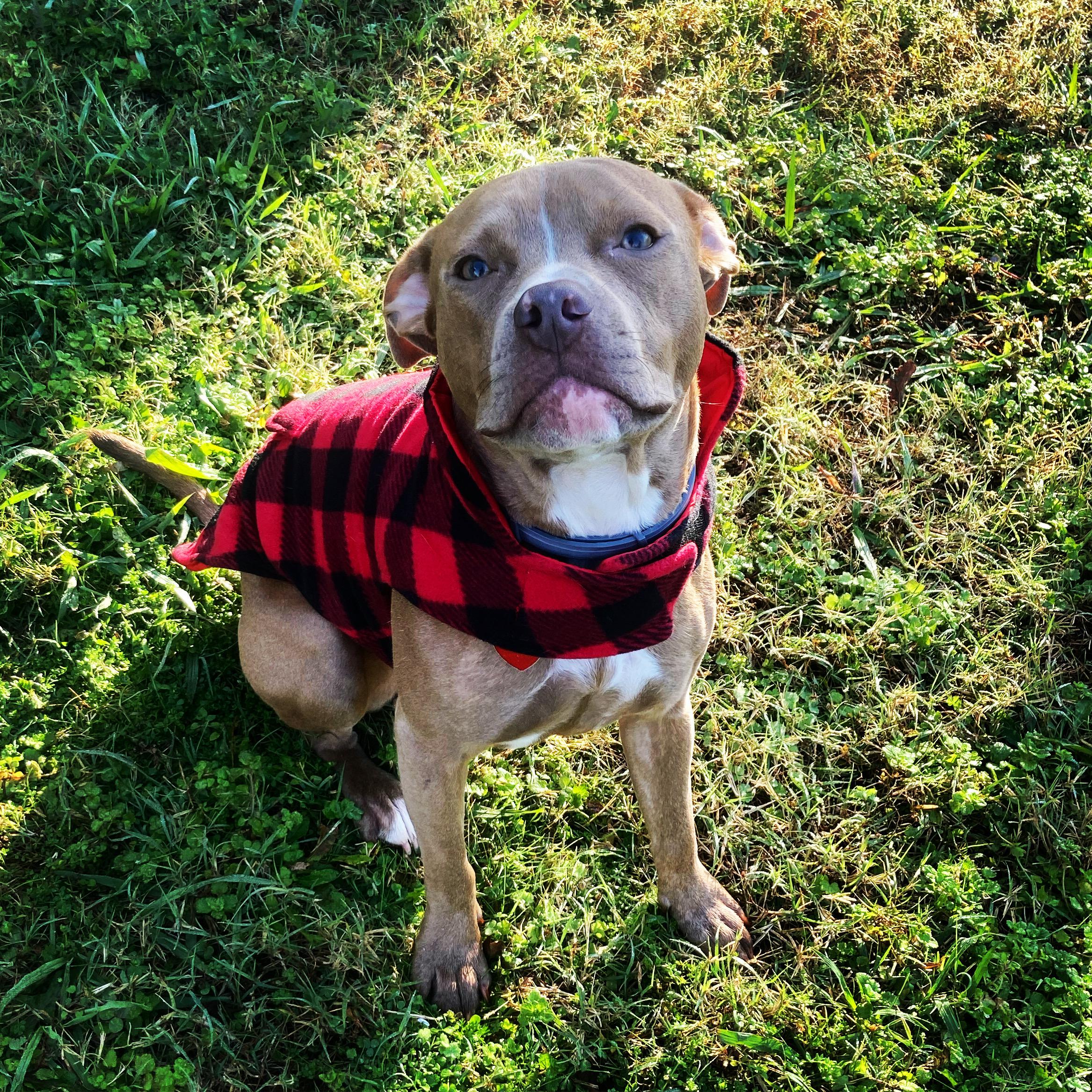 She’s so proud of her new winter coat and won’t let me take it off. | Scrolller