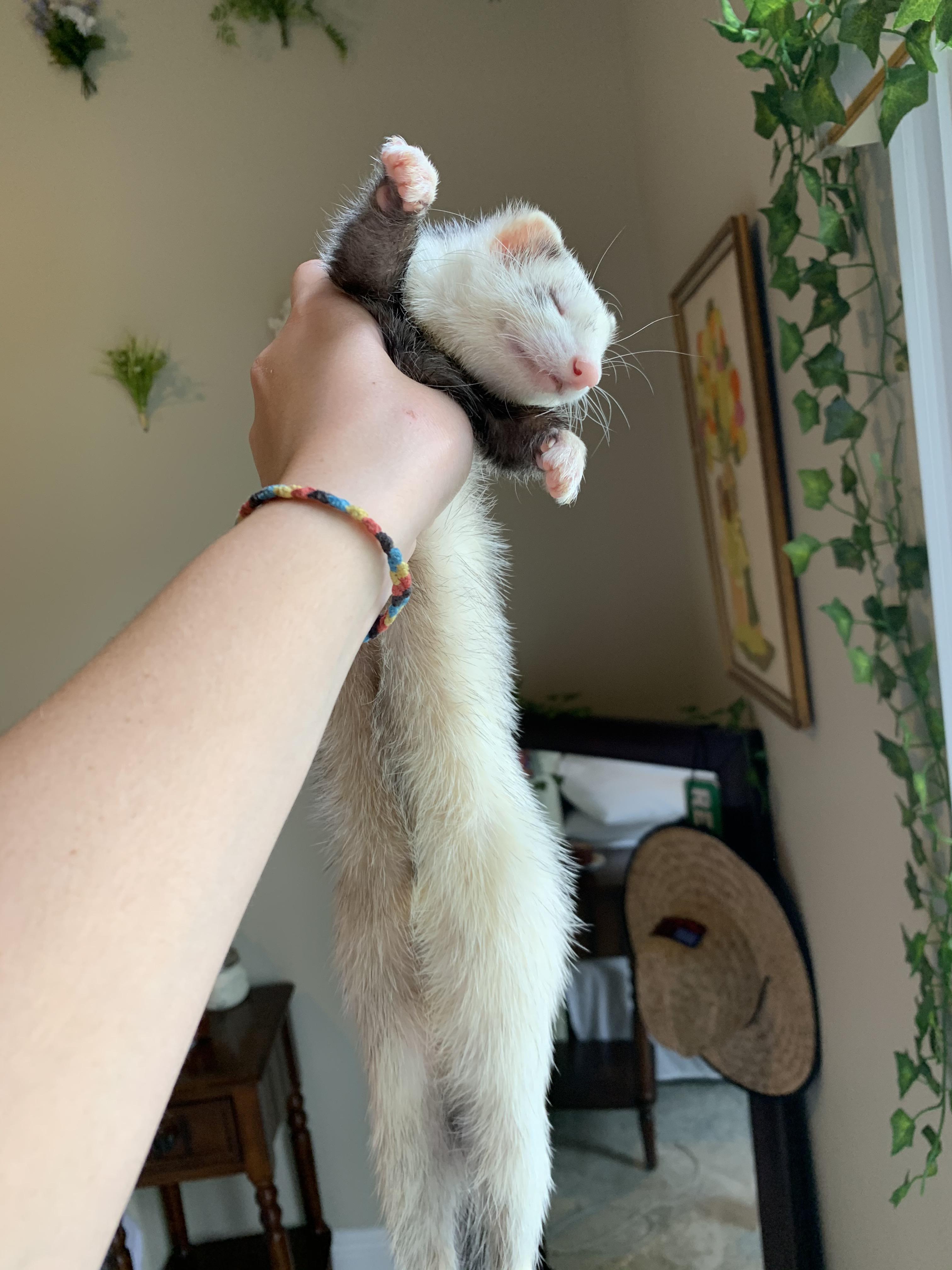 She’s the only one that goes in a dead sleep (pt.1) | Scrolller