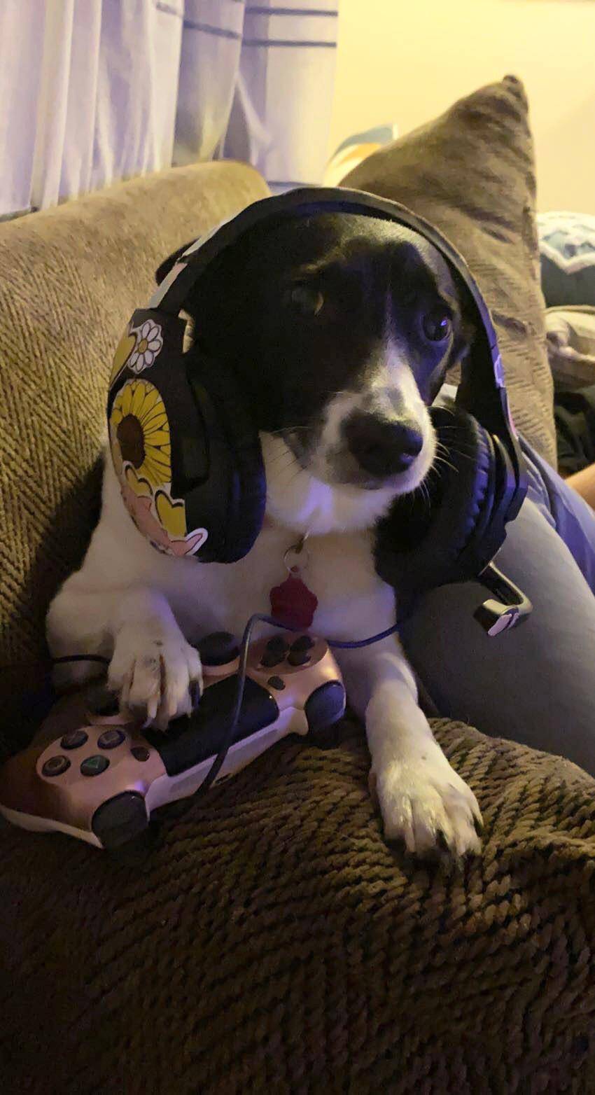 She Was A Gamer Girl 🎮 Scrolller