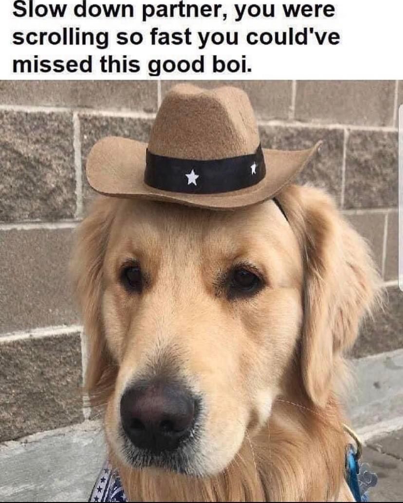 Sherif Paws love you | Scrolller