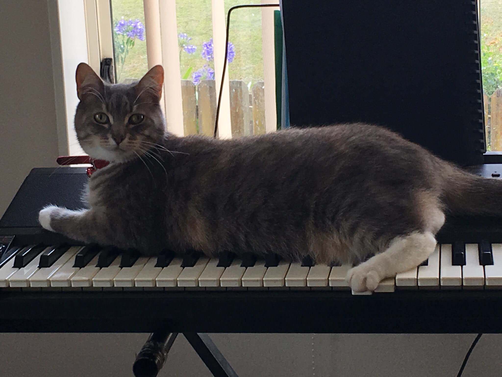 She's always been a bit different | Scrolller