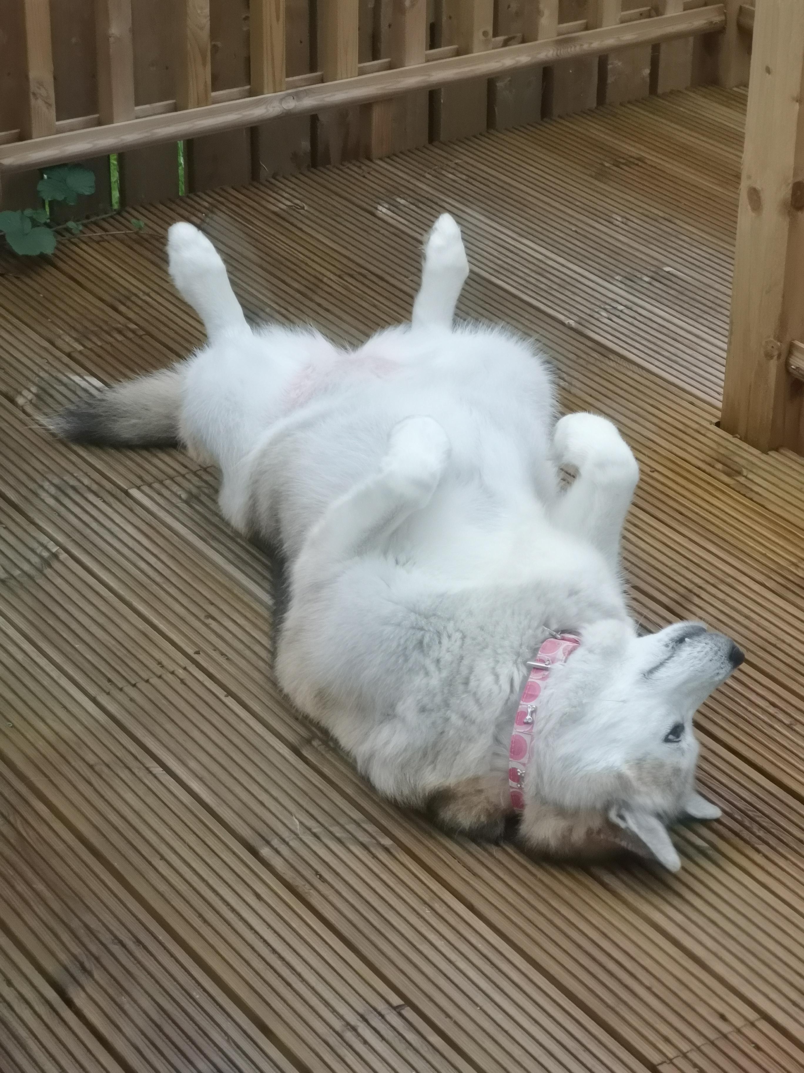 She's taken up cloudgazing | Scrolller