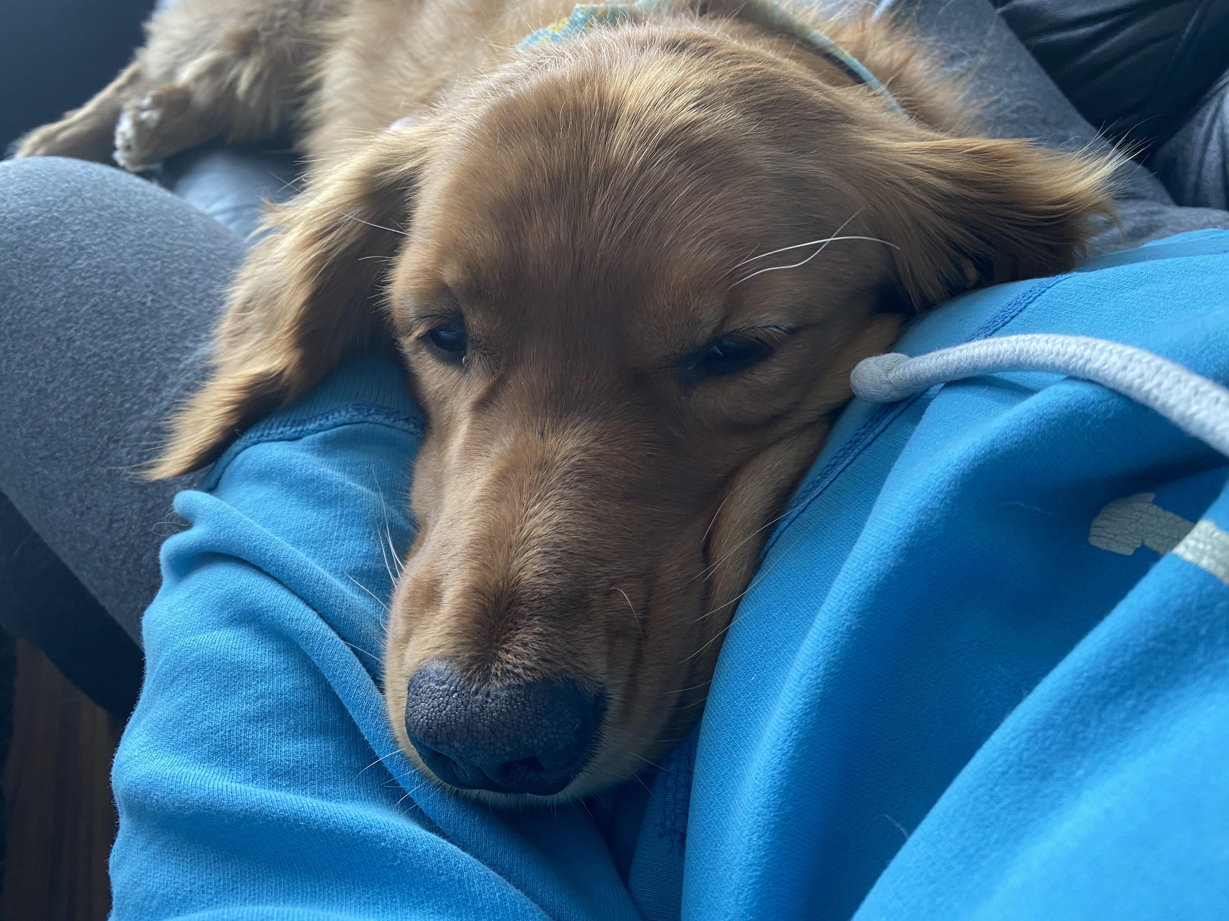 ShhhDon’t go do work... I sleeping | Scrolller