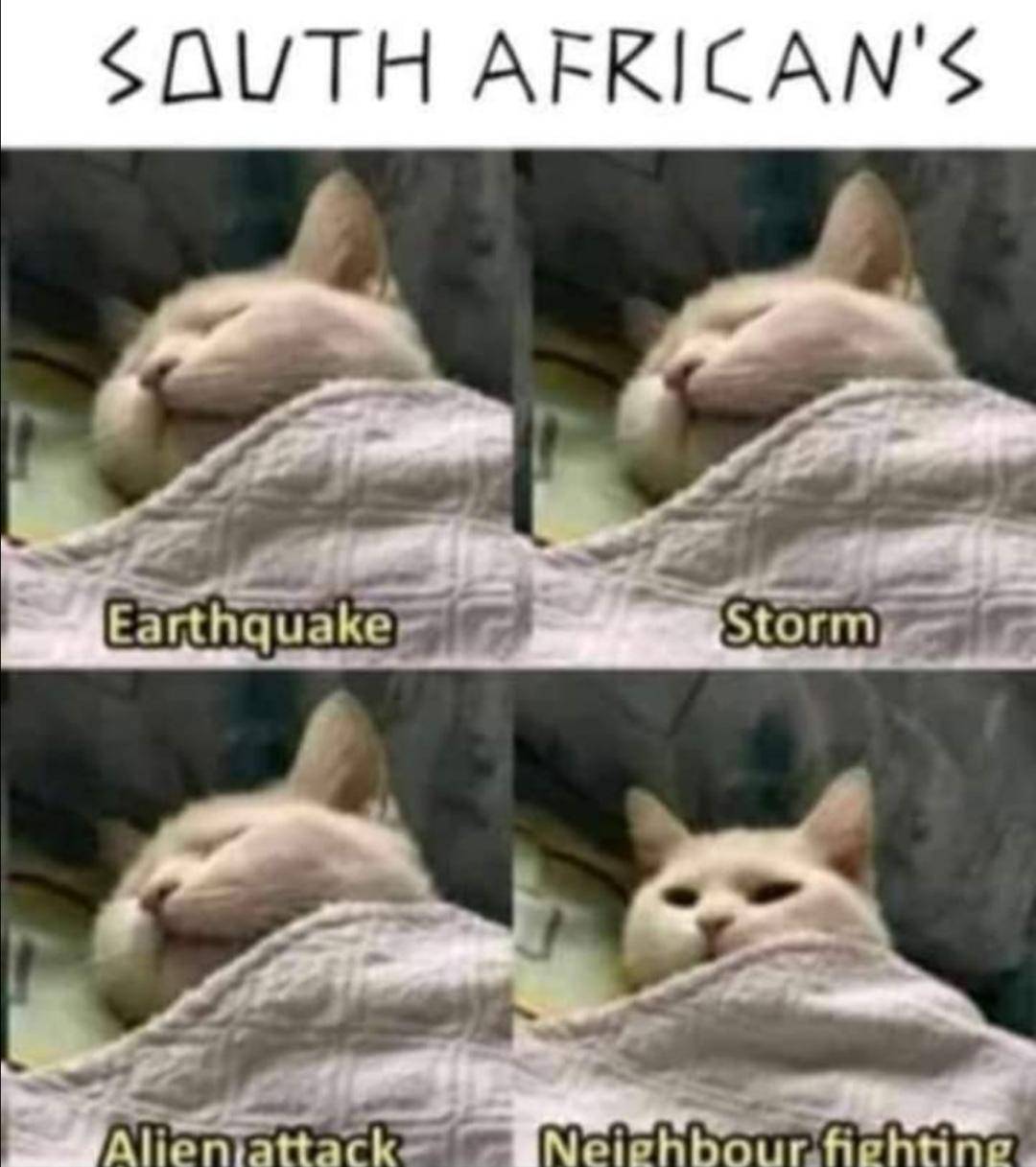 Show me real drama | Scrolller