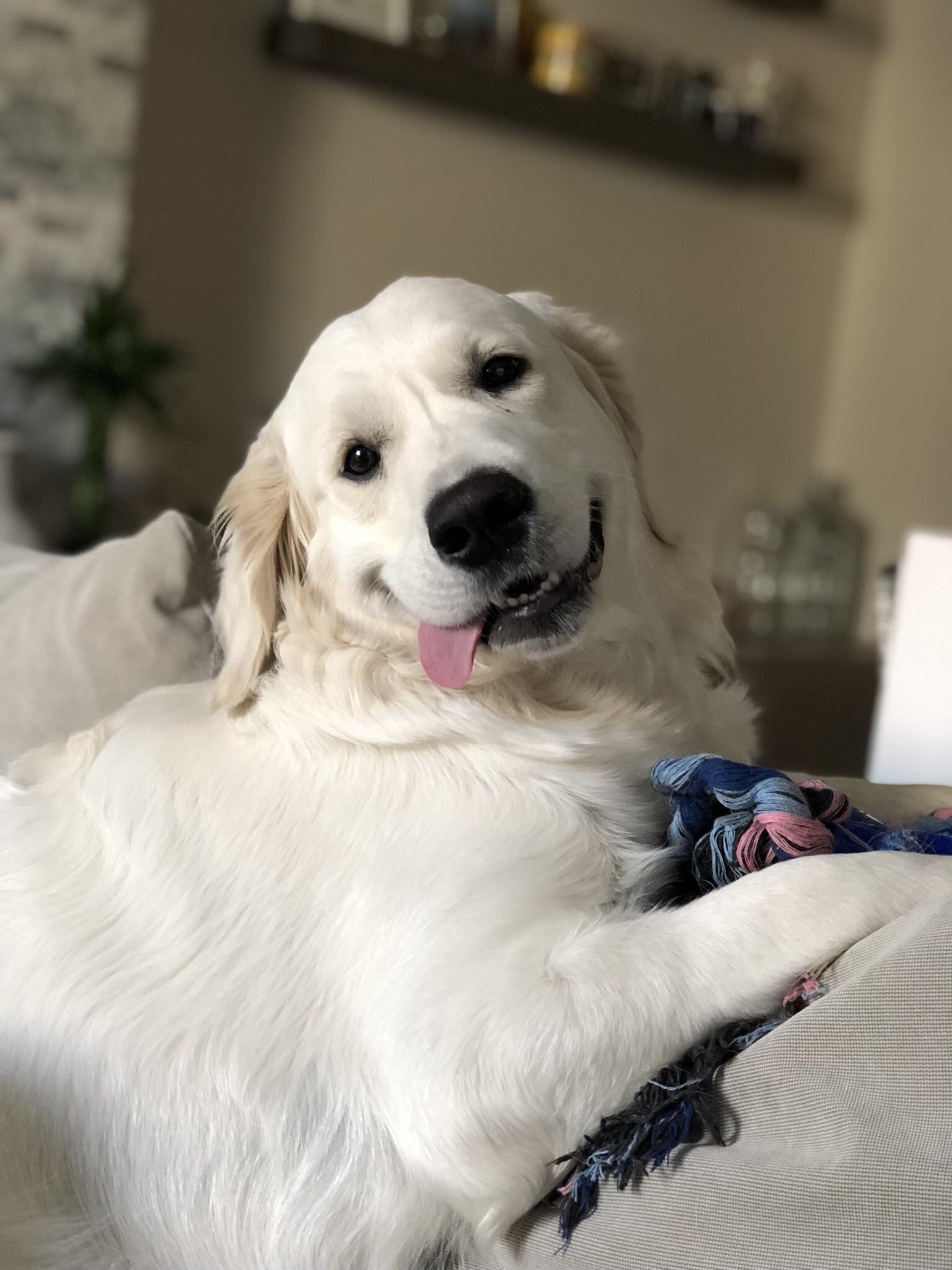 Side blop | Scrolller