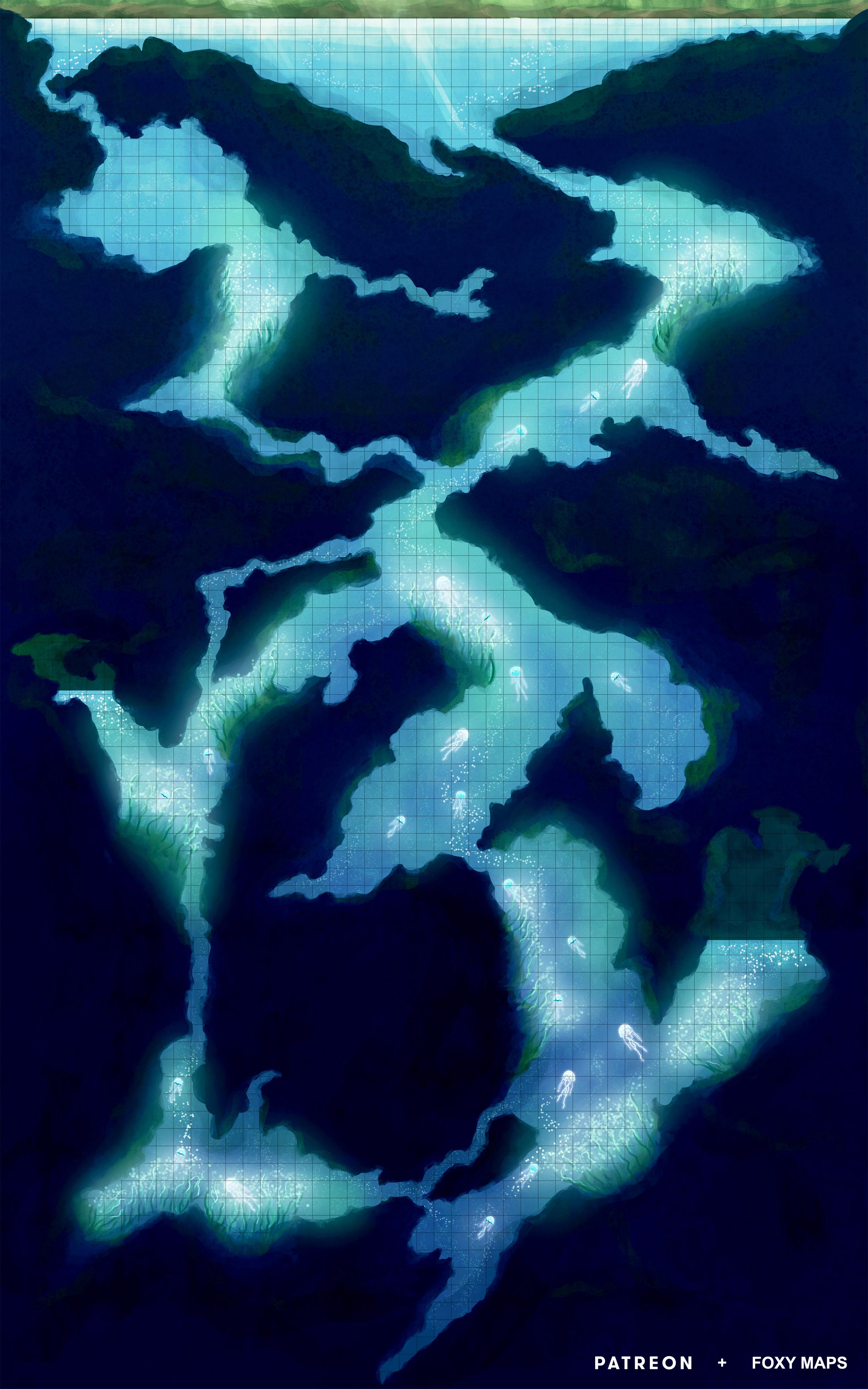 Side-view Underwater Cave [50x80] [Battlemap] [OC] | Scrolller