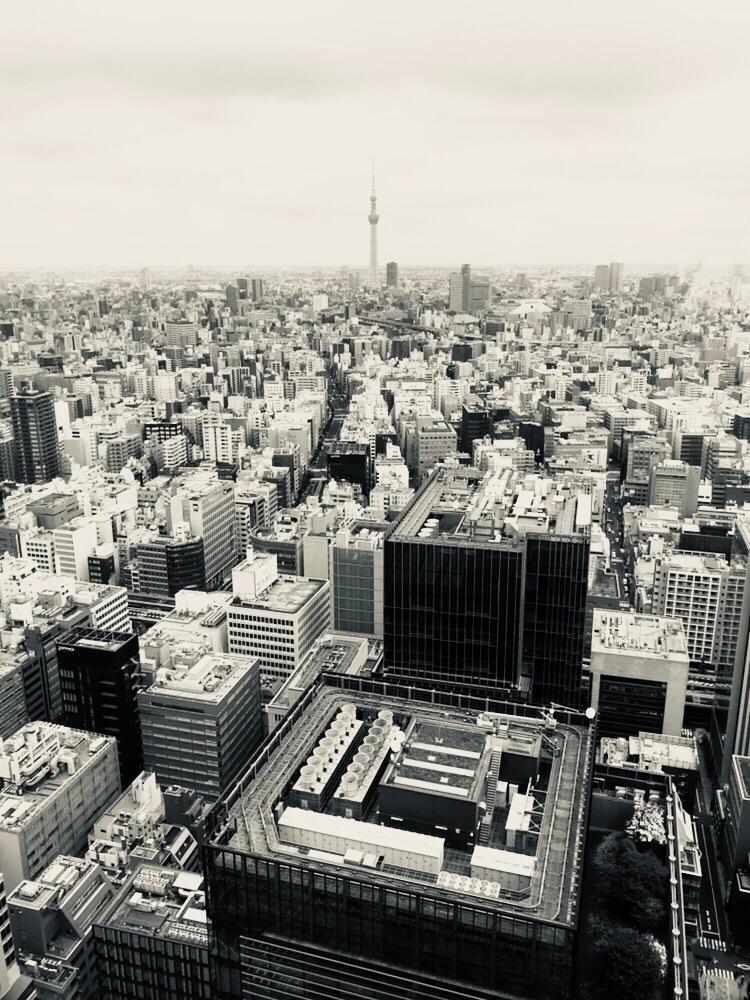 Silver cityscape from the Oriental | Scrolller