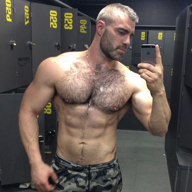 Silver fox | Scrolller