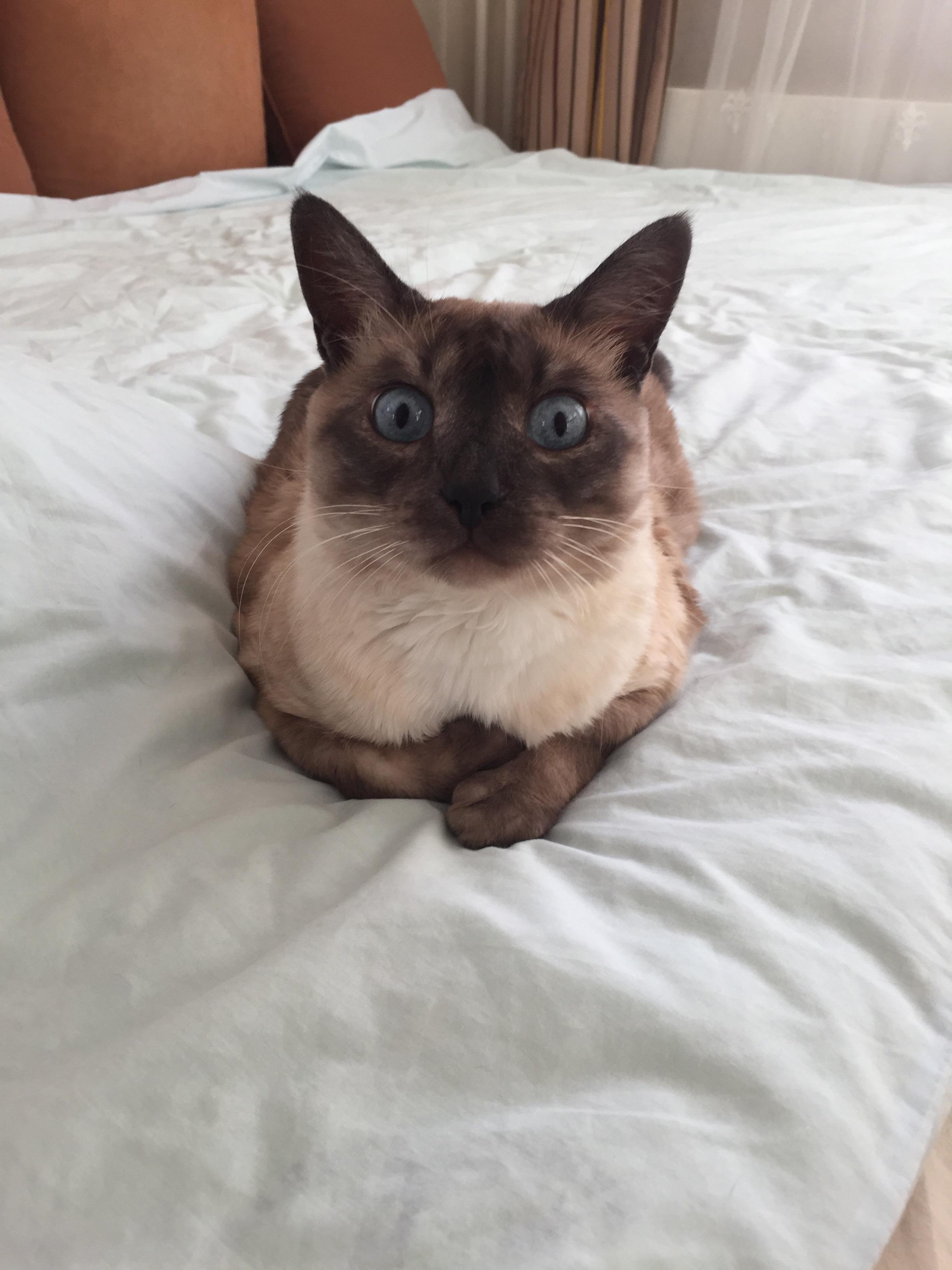 Simon’s private time got interrupted | Scrolller