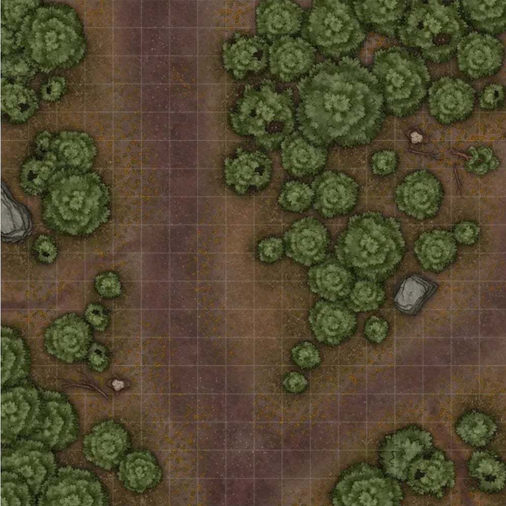 Simple Forest Path | Scrolller