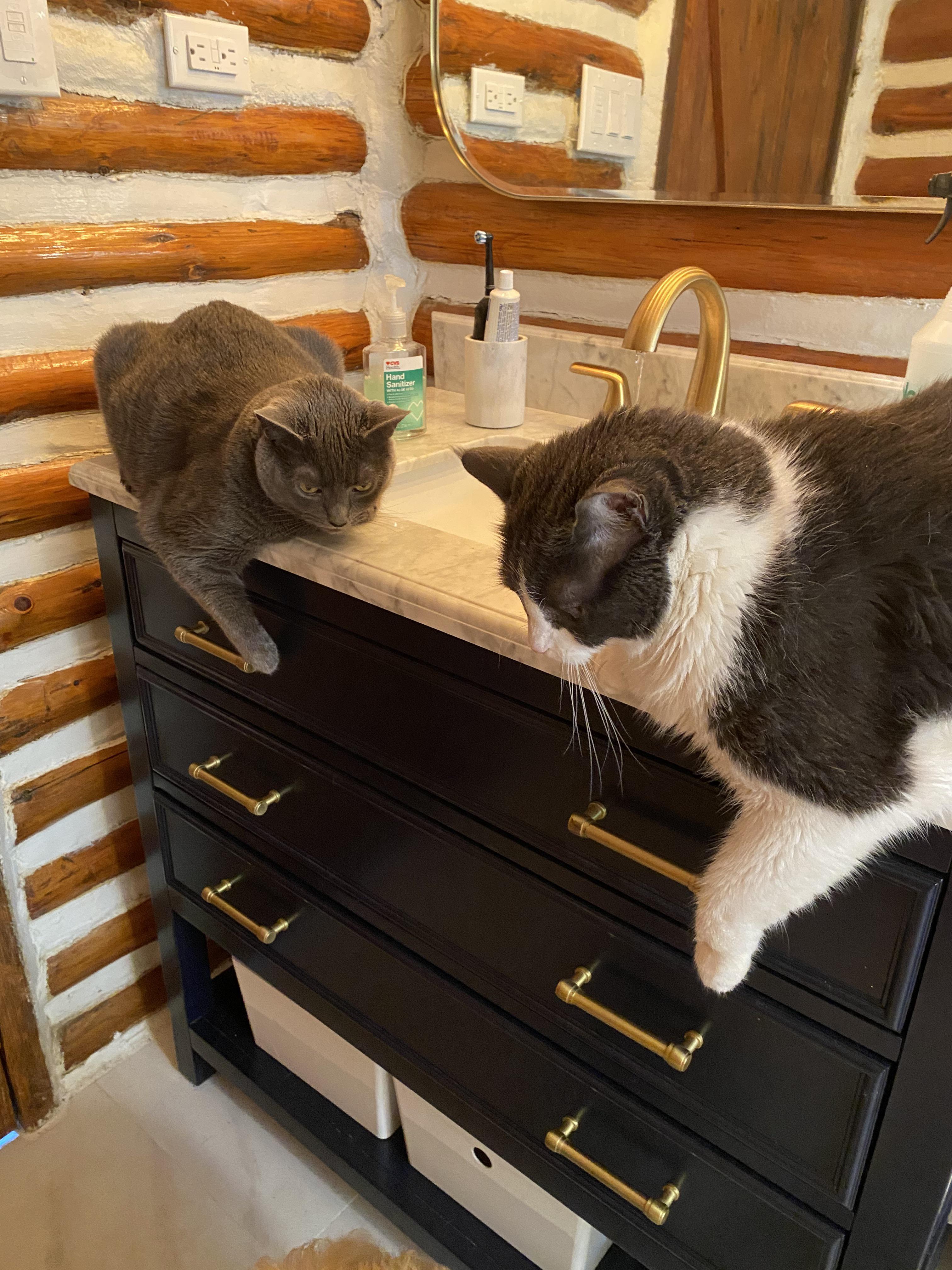 Sink Gargoyles | Scrolller