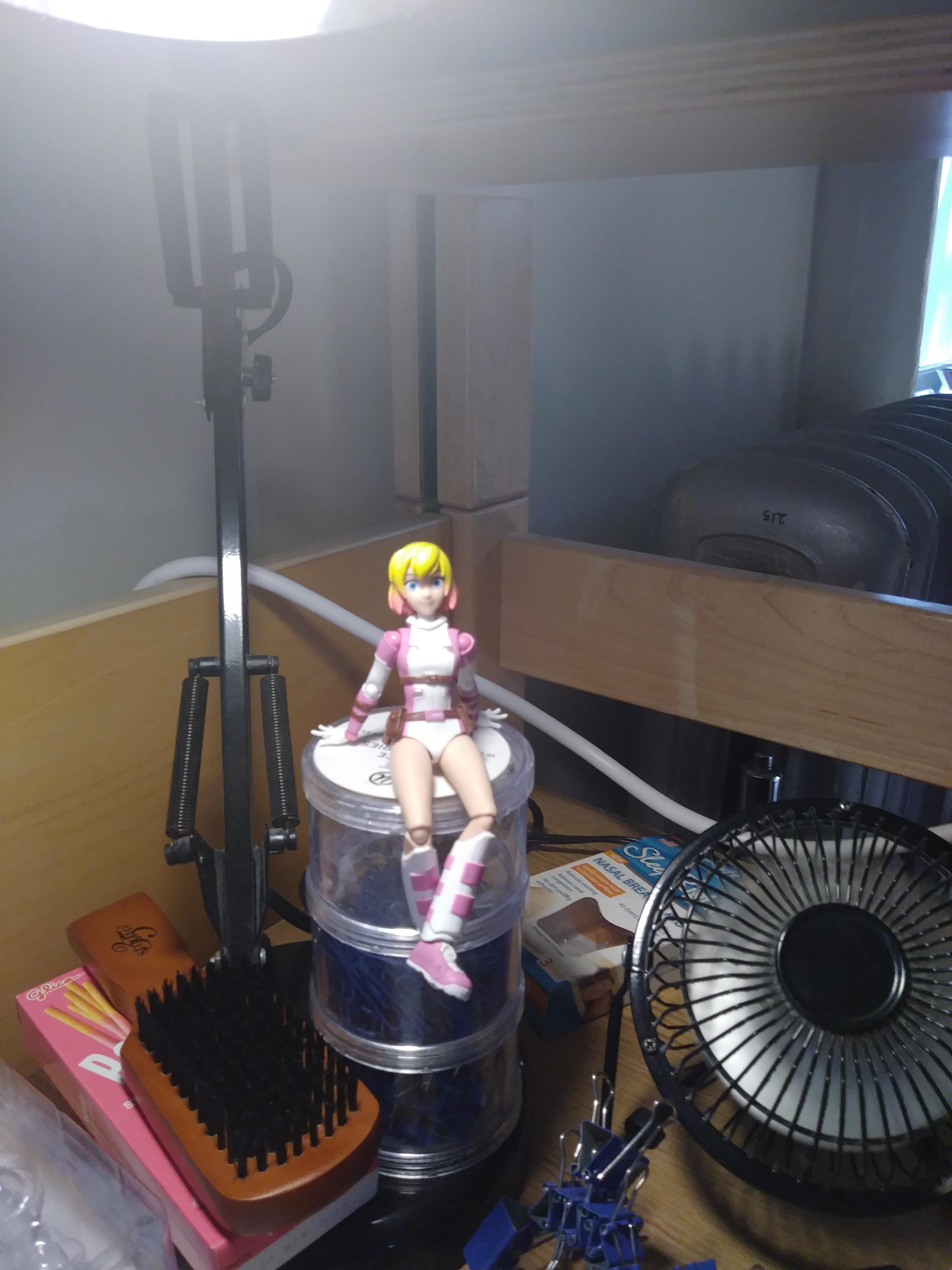 Sitting on my desk | Scrolller