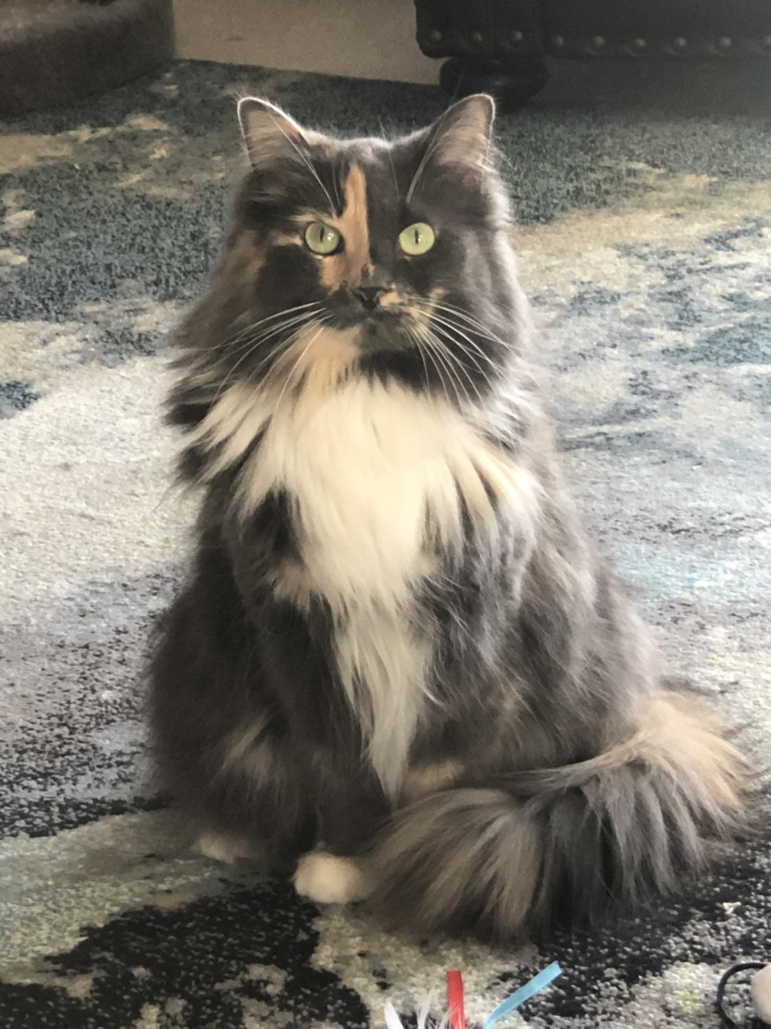 Sitting Pretty | Scrolller