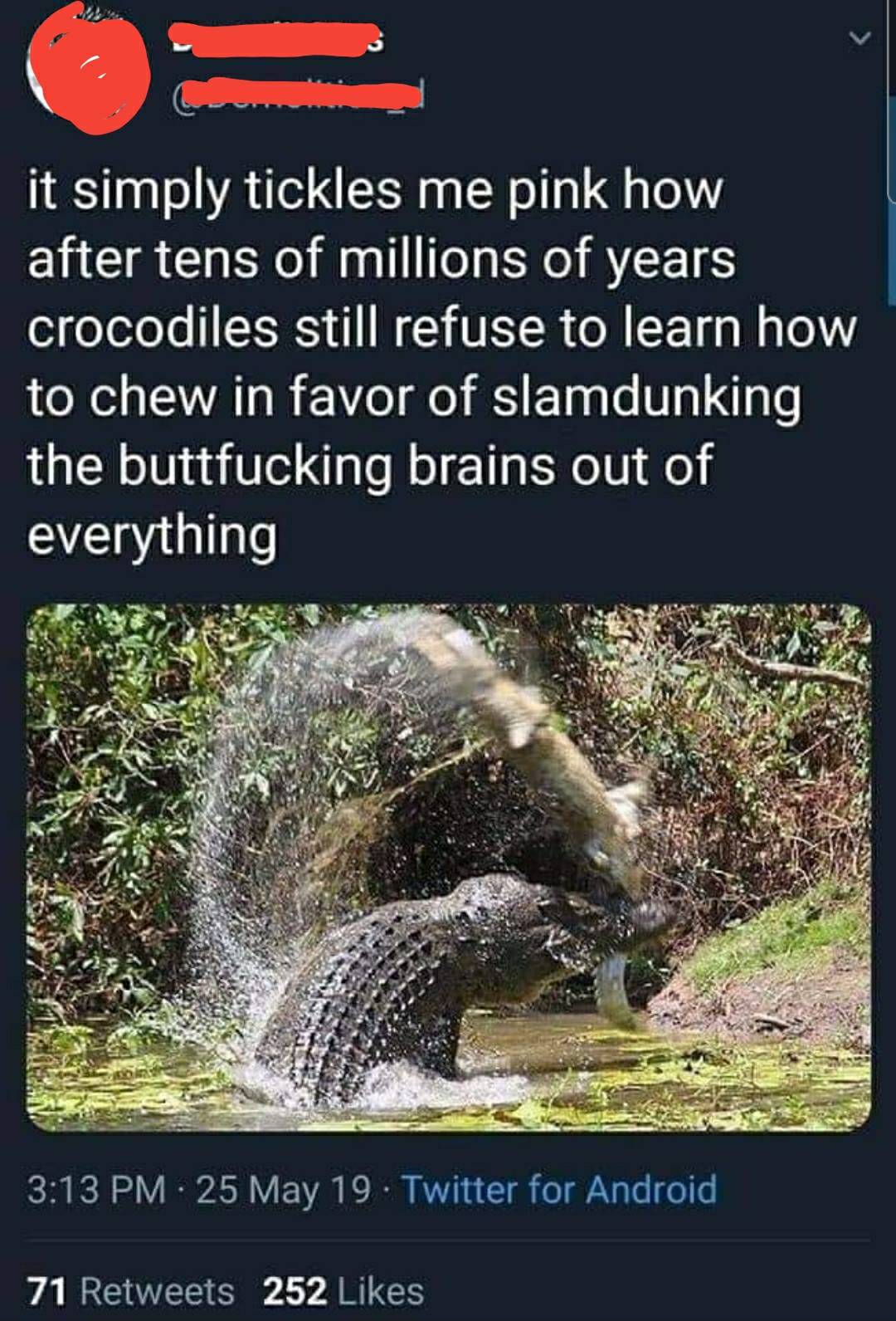 Slamdunking the buttf***ing brains out of everything | Scrolller