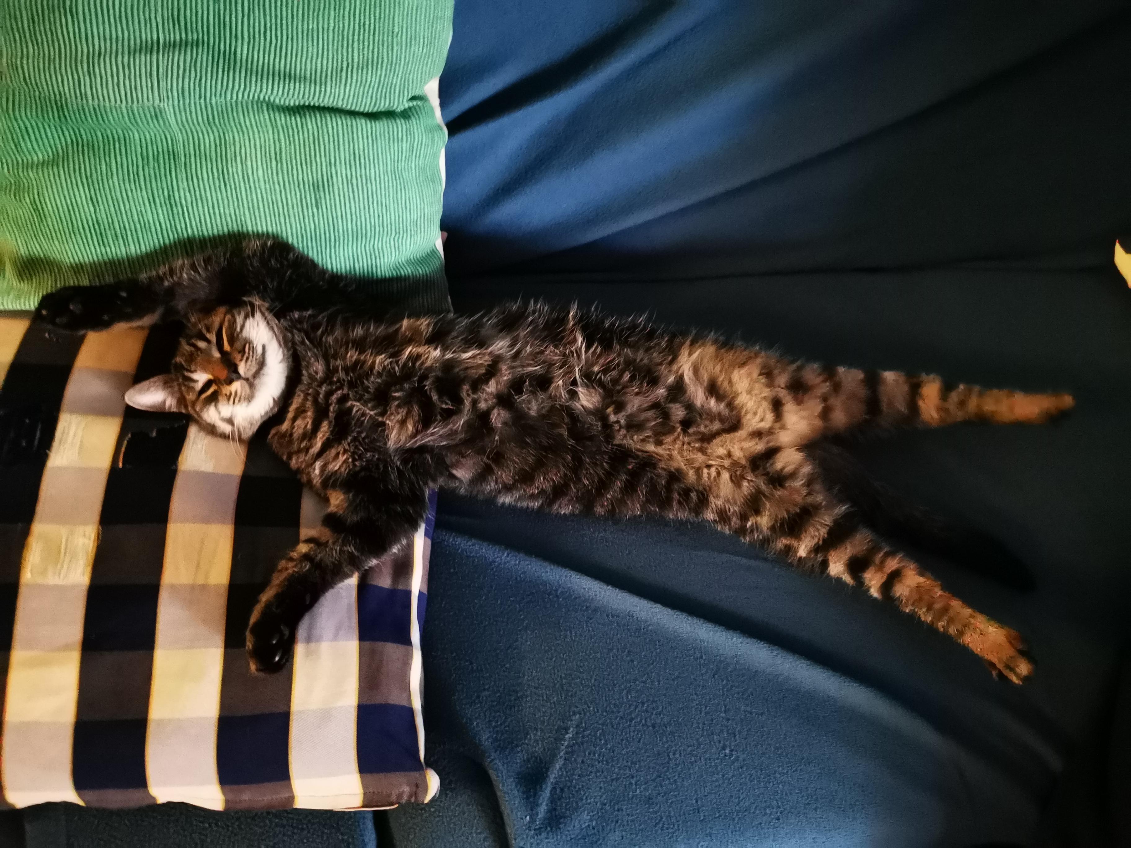 Sleeping child | Scrolller