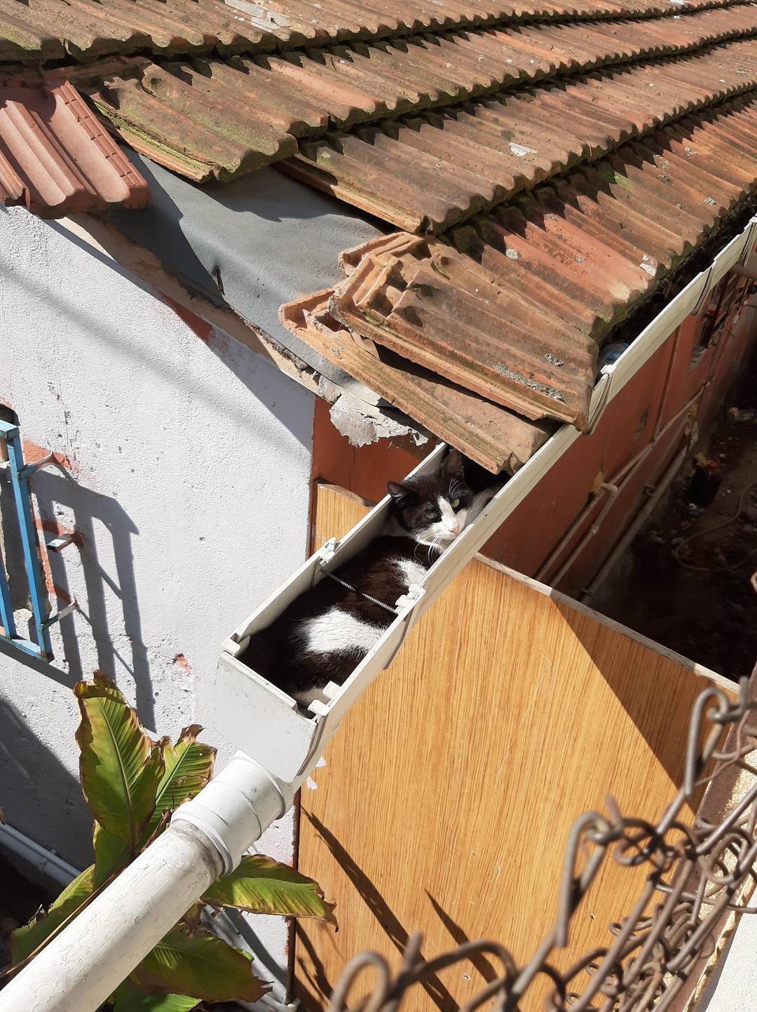 Sleeping in tight water pipes | Scrolller