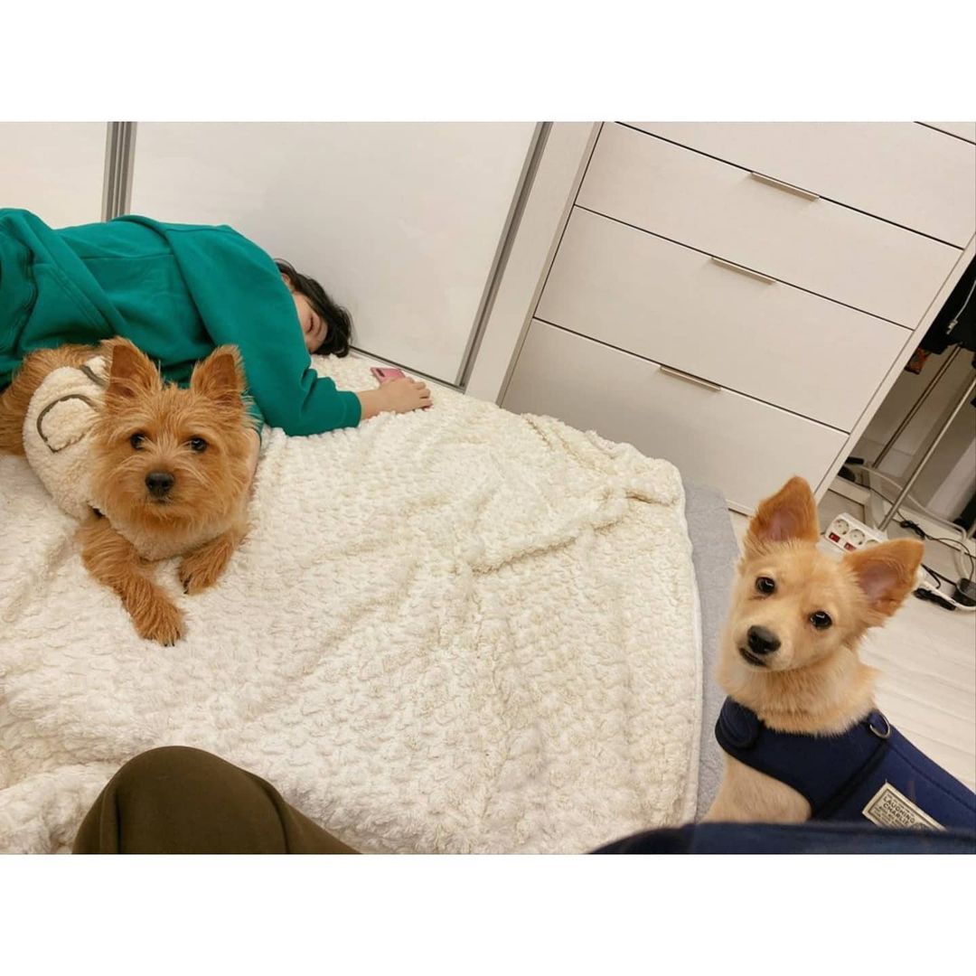 Sleeping Momo | Scrolller