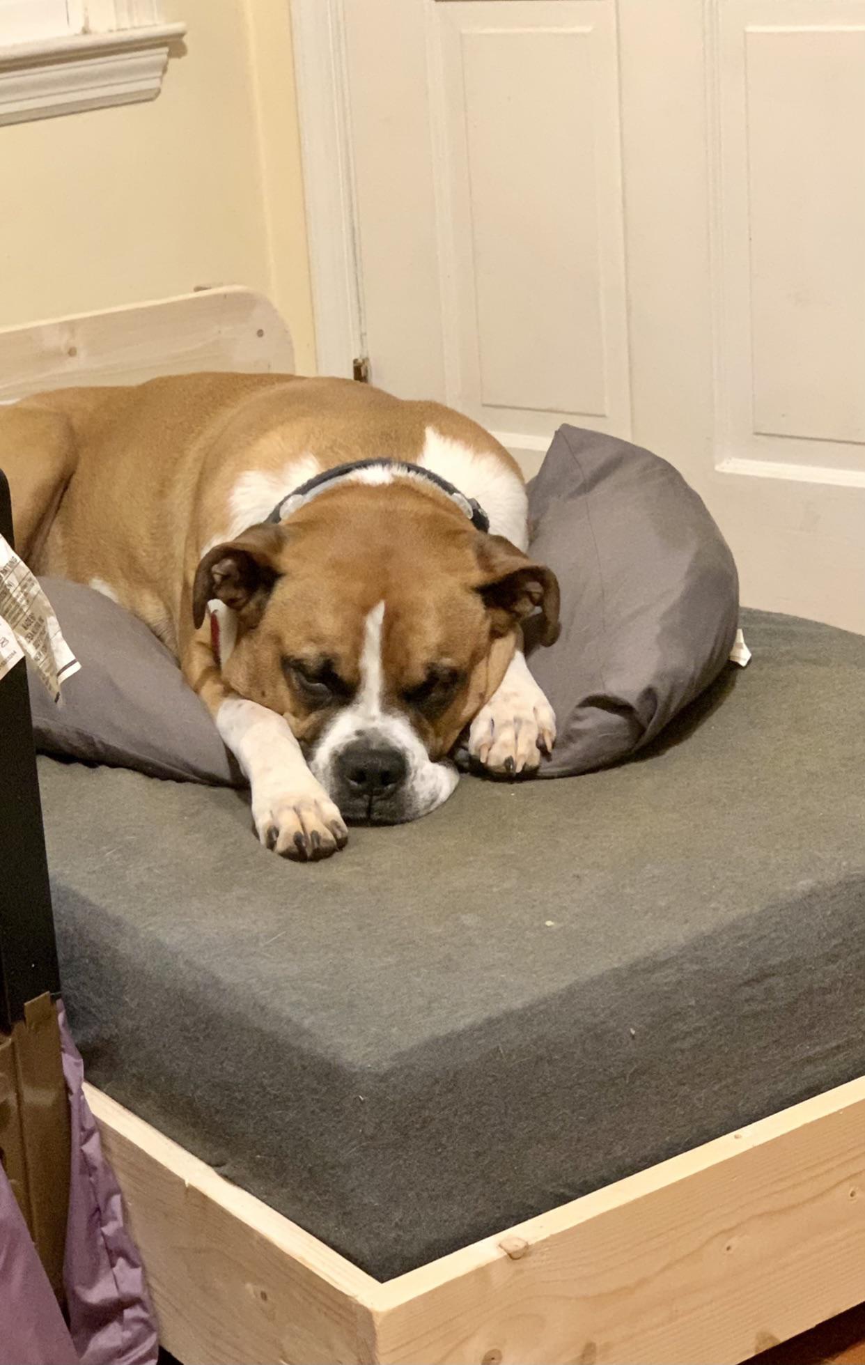 Sleepy Apollo | Scrolller