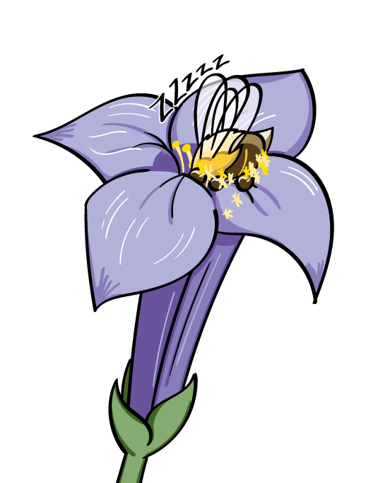 Sleepy Bee! | Scrolller