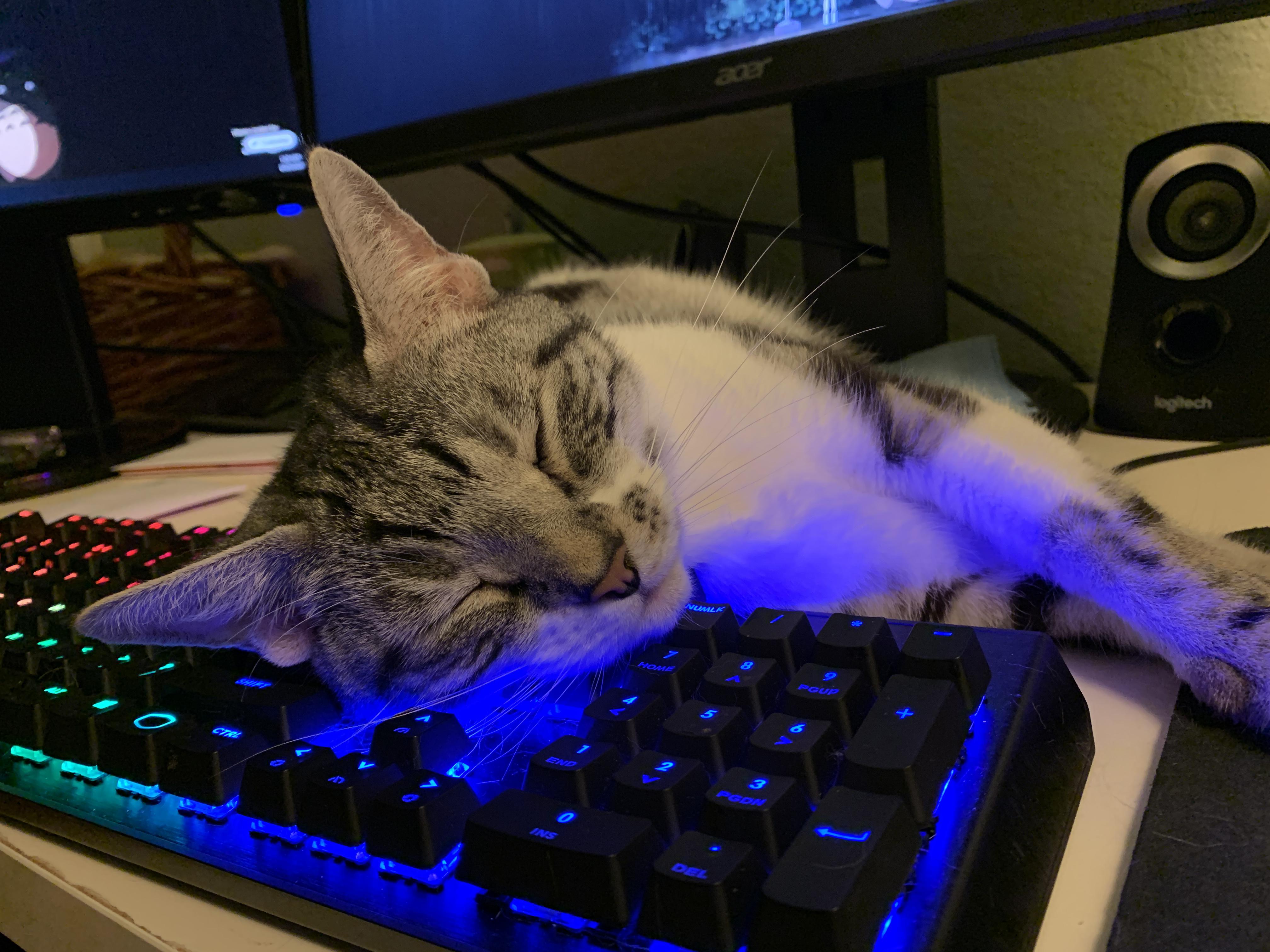 Sleepy boy | Scrolller