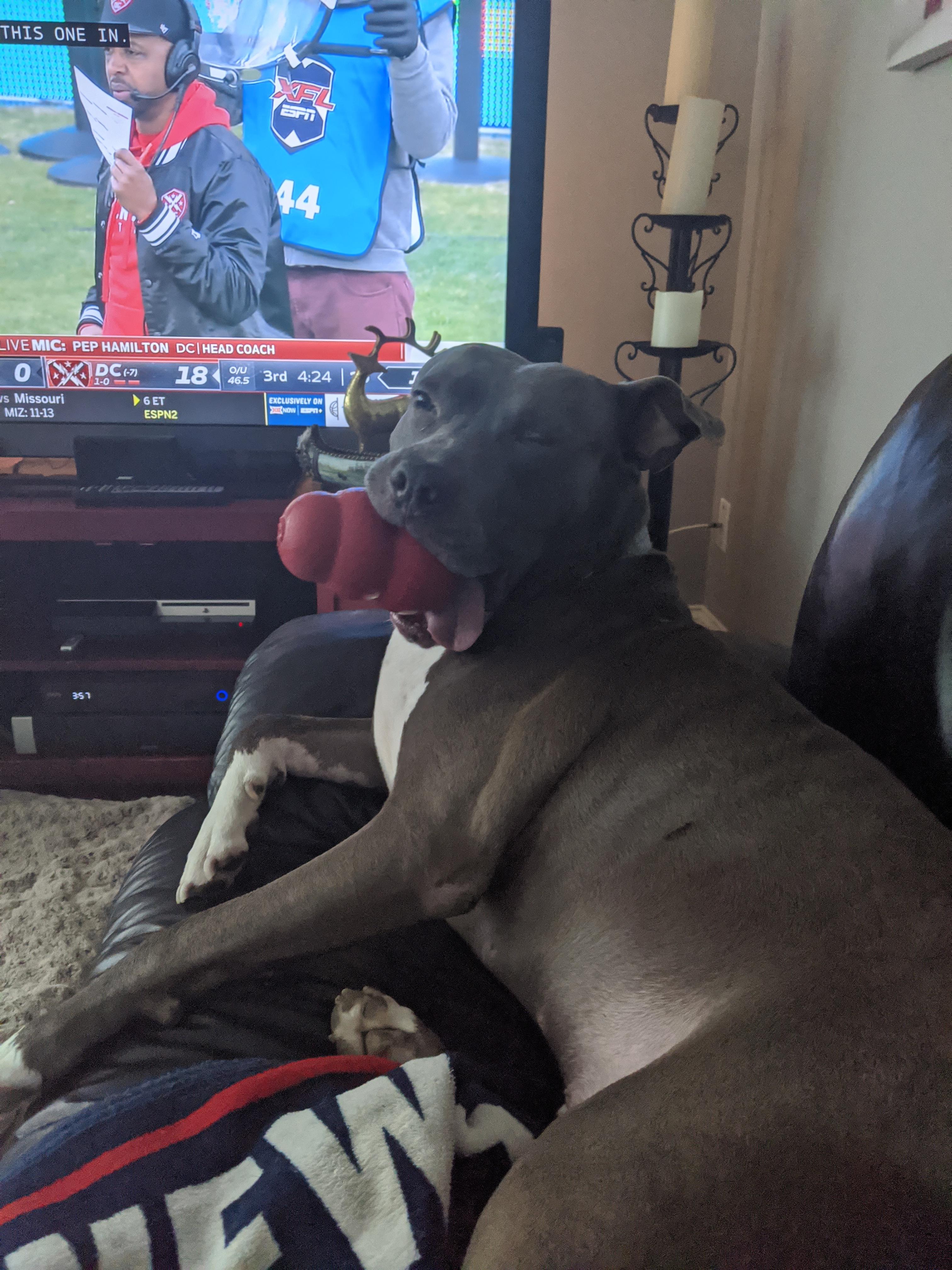 Sleepy derp with his binkie | Scrolller