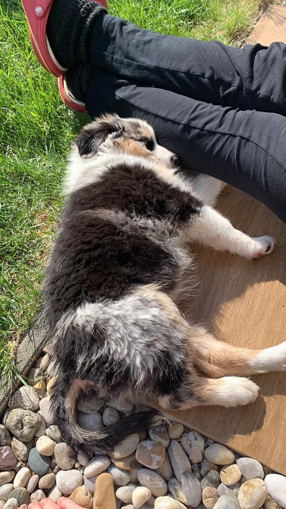 Sleepy girl | Scrolller