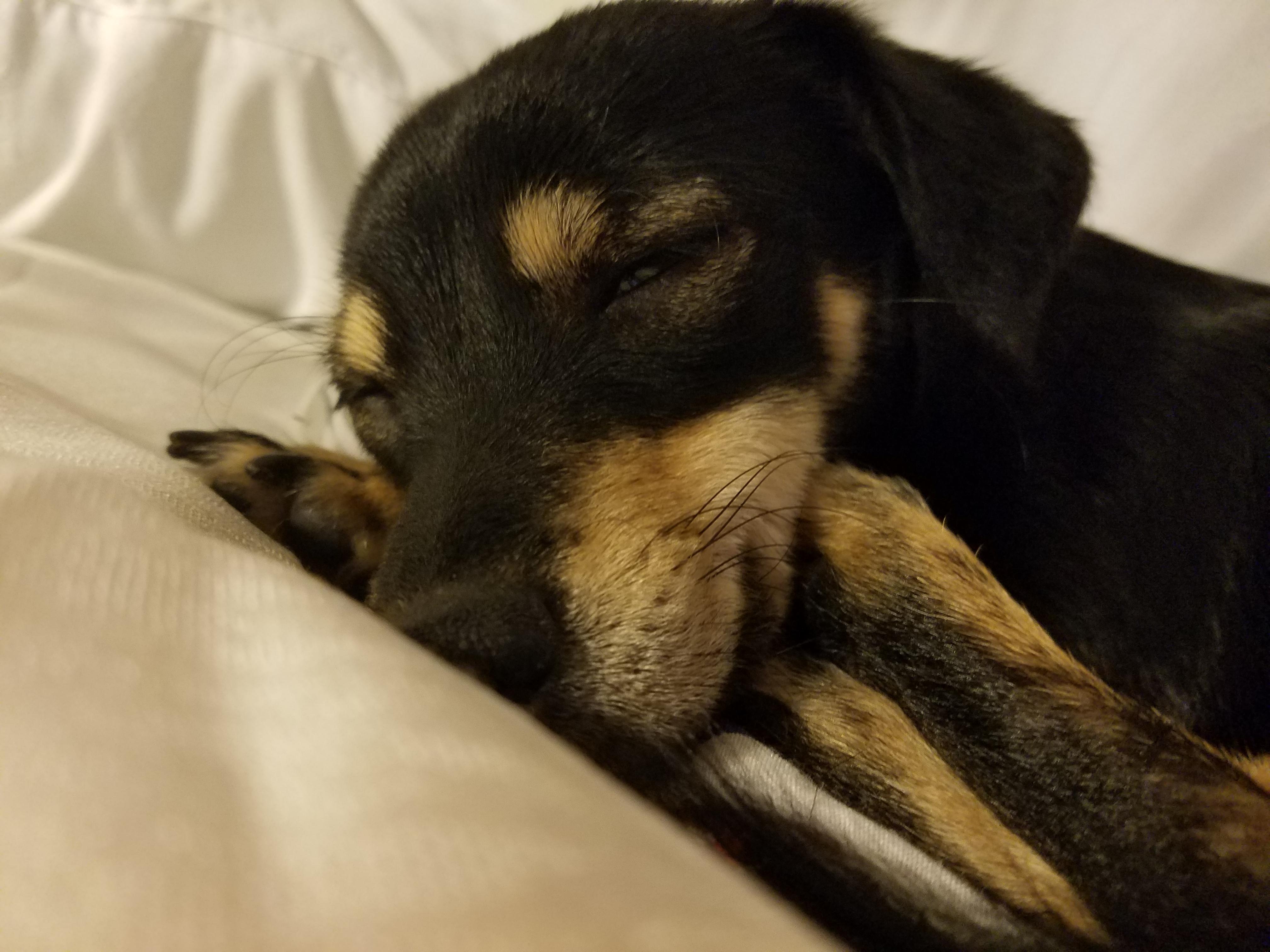 Sleepy head! | Scrolller