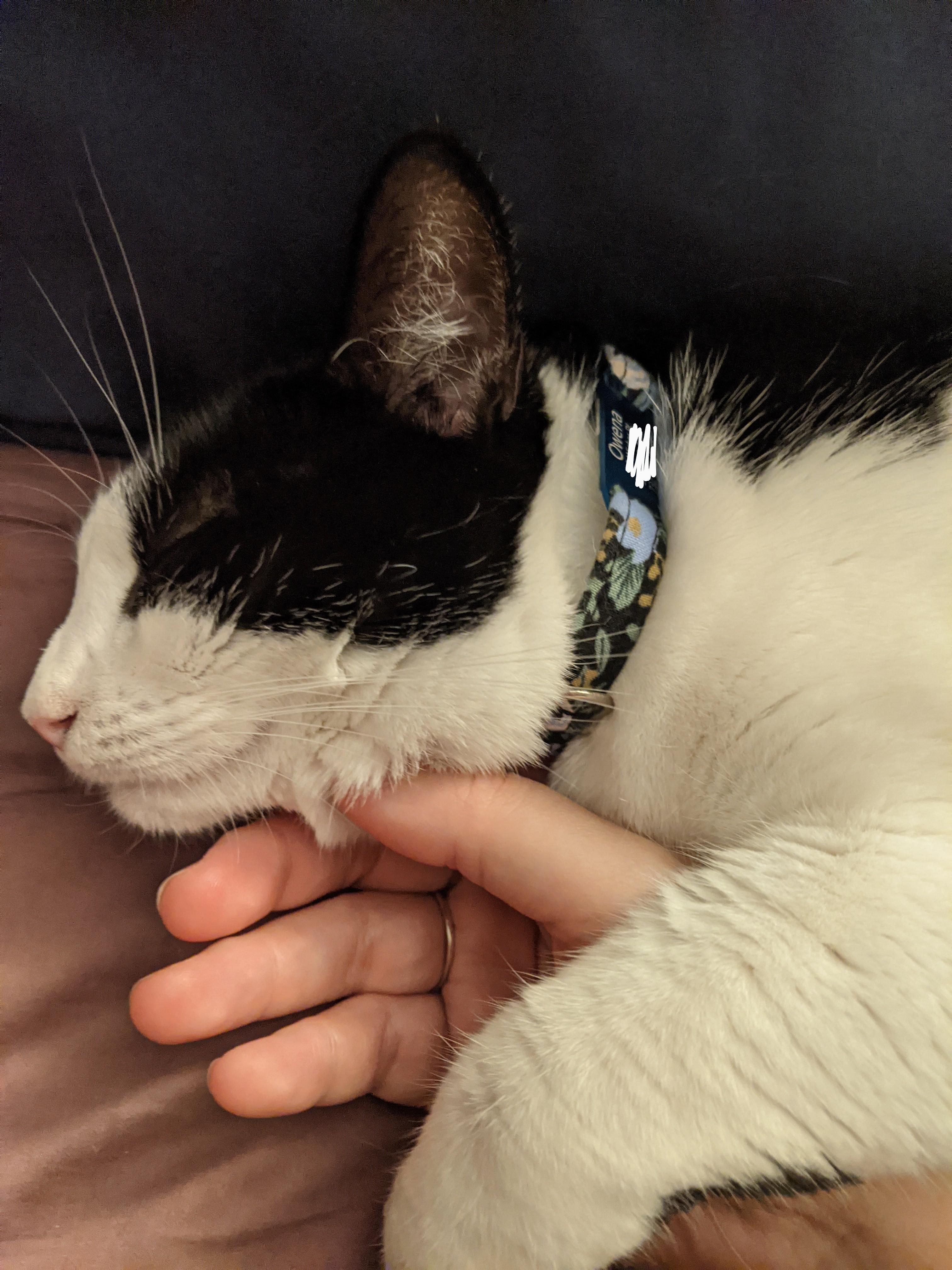 Sleepy snuggle smiles | Scrolller