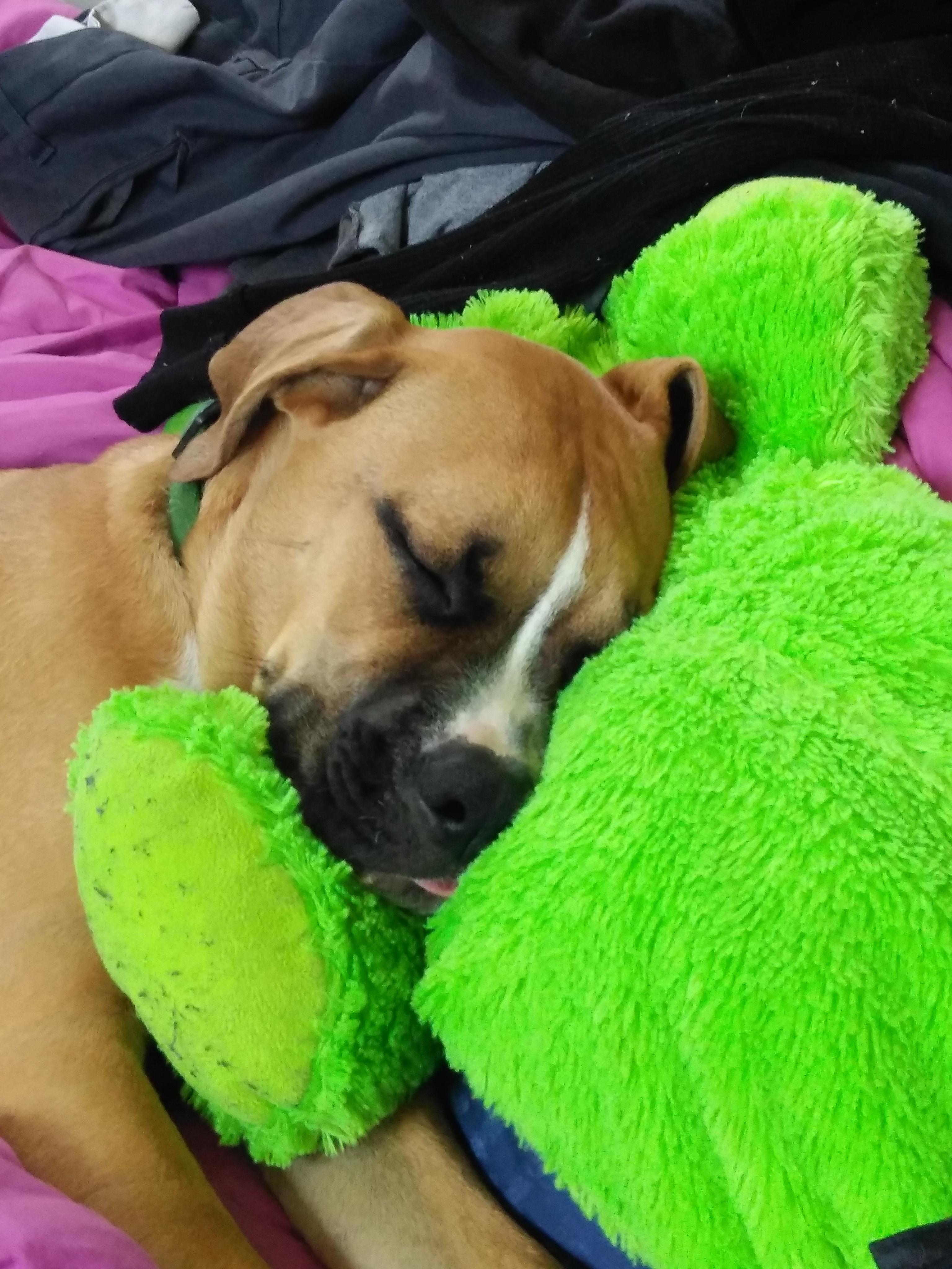 Sleepy time bloop | Scrolller