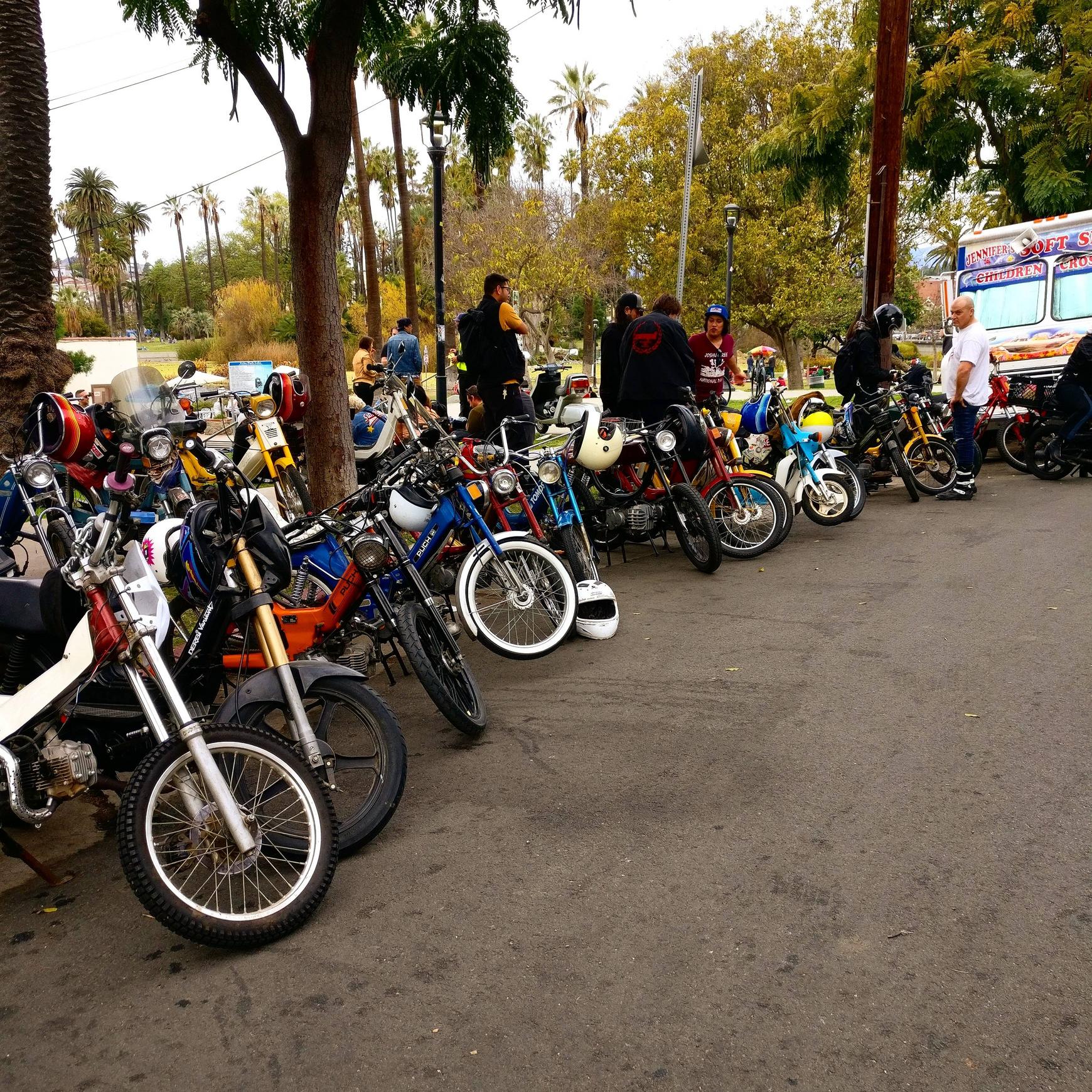 Slow cruisin' moped ride, Los Angeles 🤩 | Scrolller