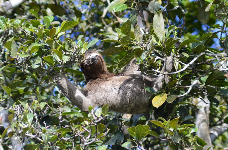 slowcial isolation | Scrolller