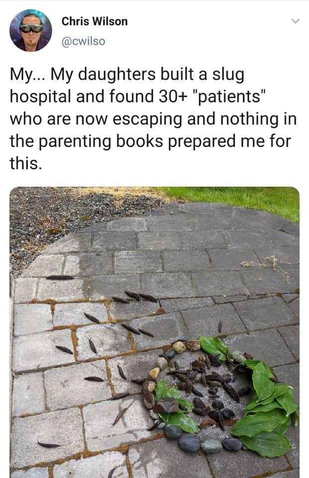 Slug Hospital | Scrolller