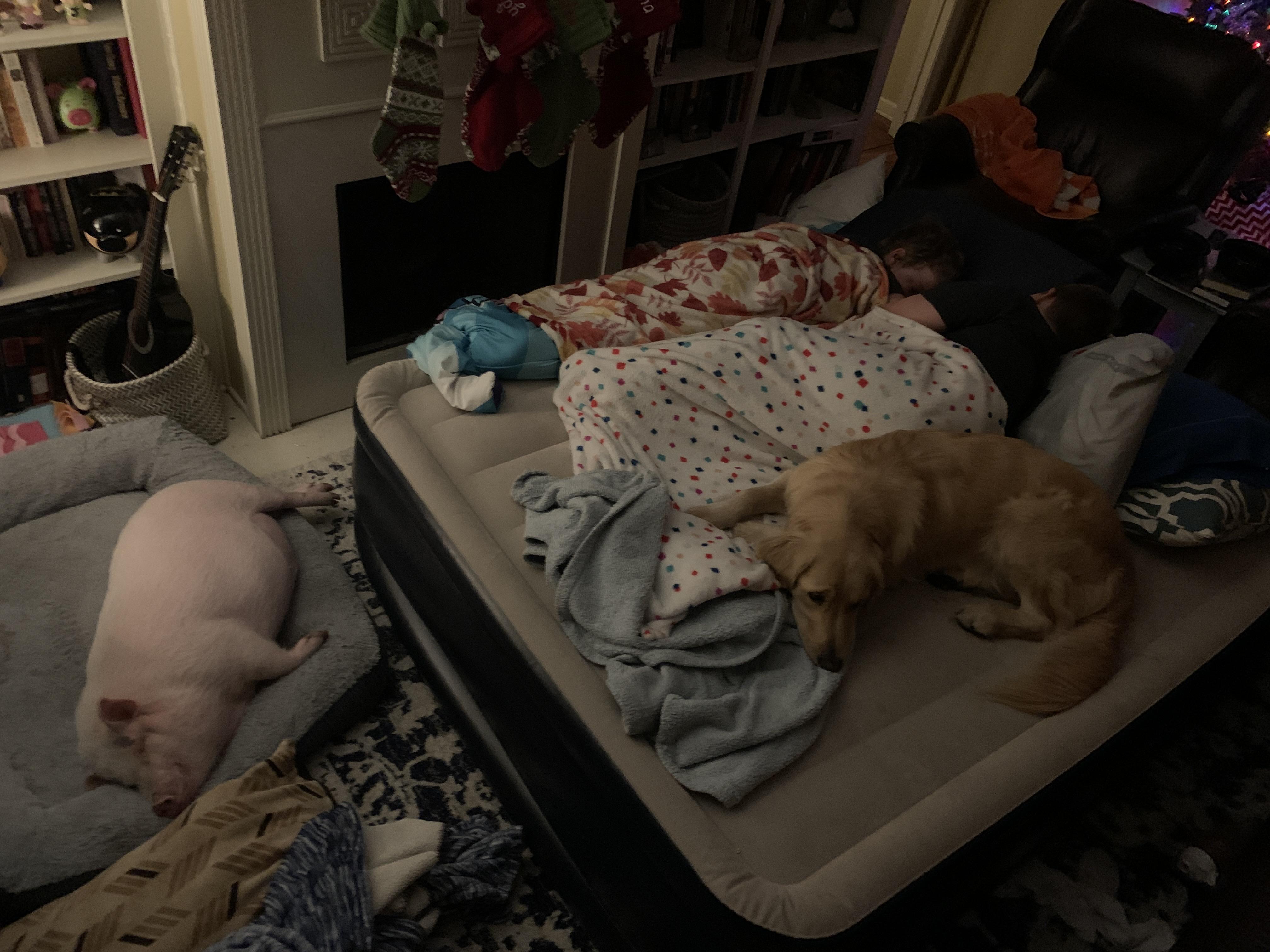 Slumber party | Scrolller