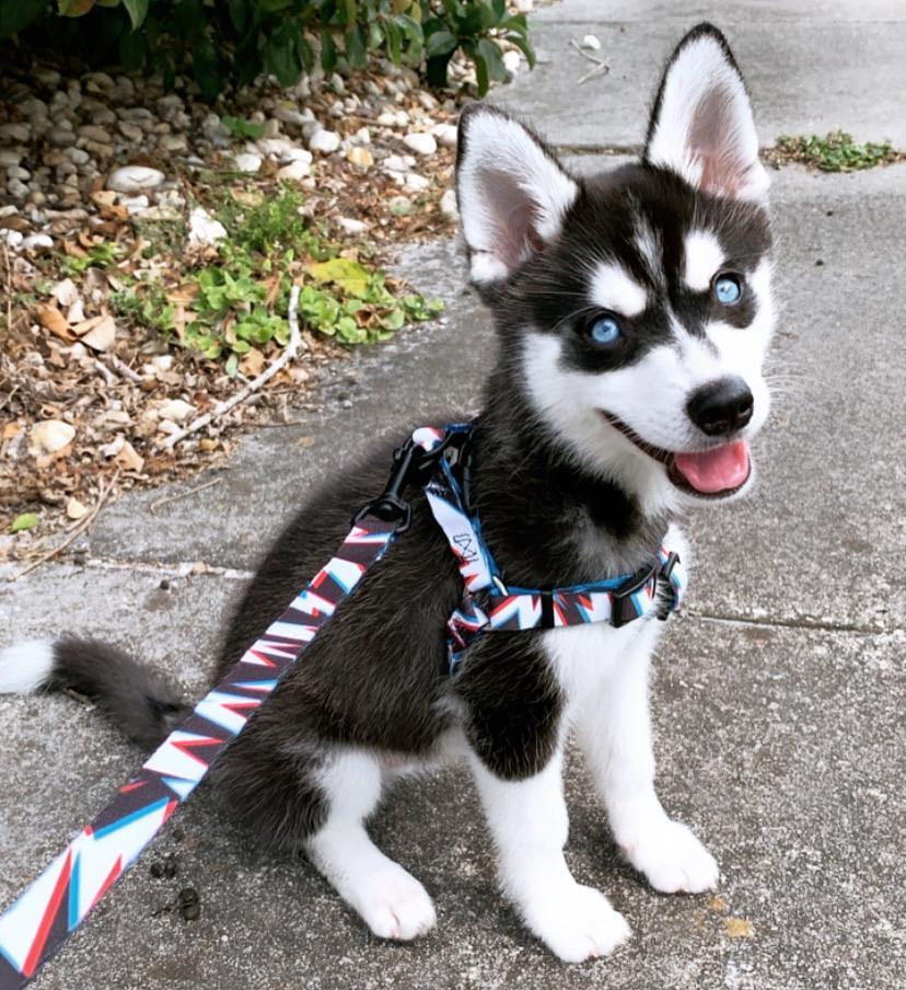 Smiley Boy ️ | Scrolller