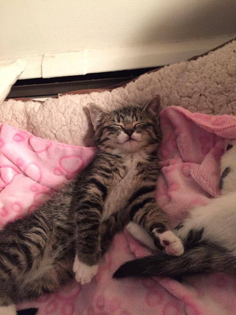 Smiling foster baby! | Scrolller