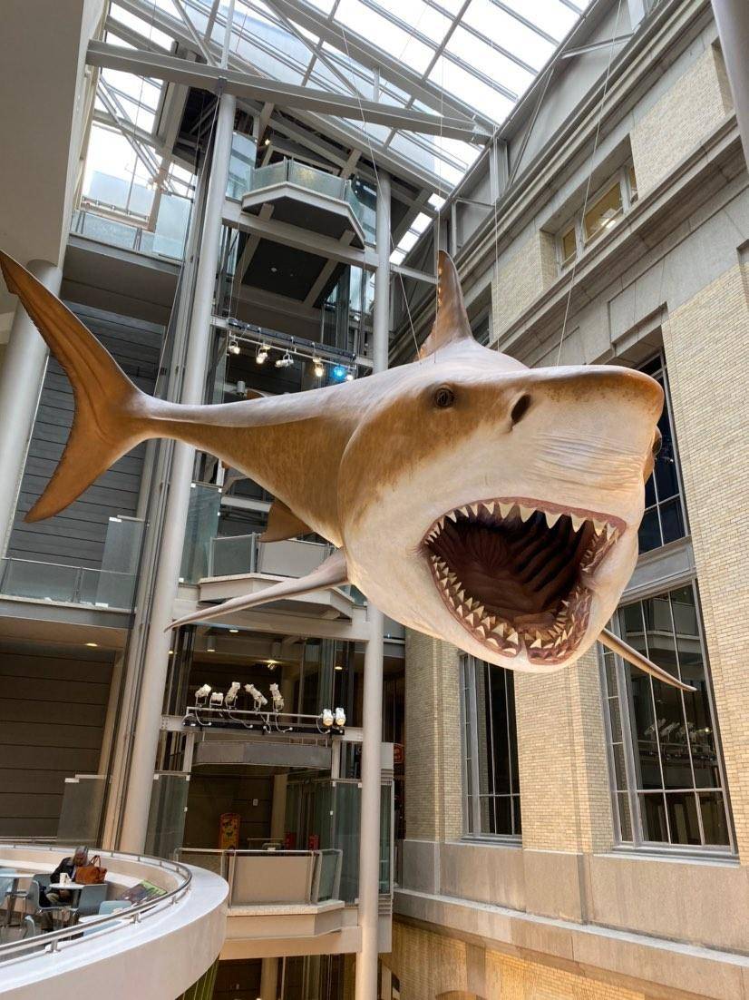 Smithsonian in Washington DC | Scrolller