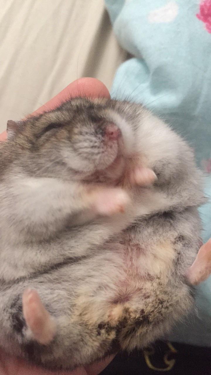 Smol bean 💓 | Scrolller