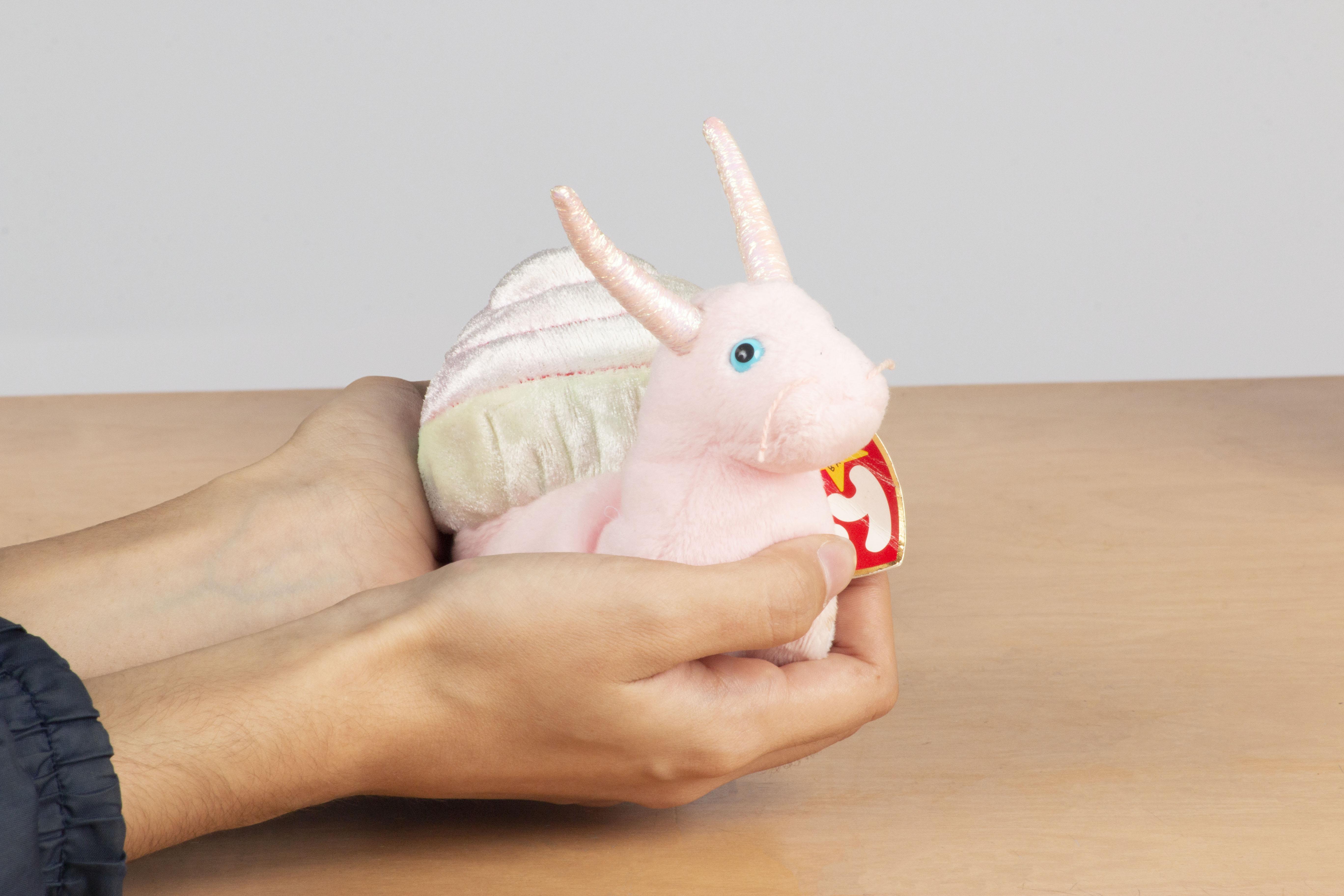 Snail,,,, | Scrolller