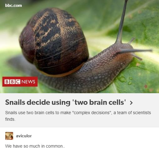 Snails, huh 🐌 | Scrolller