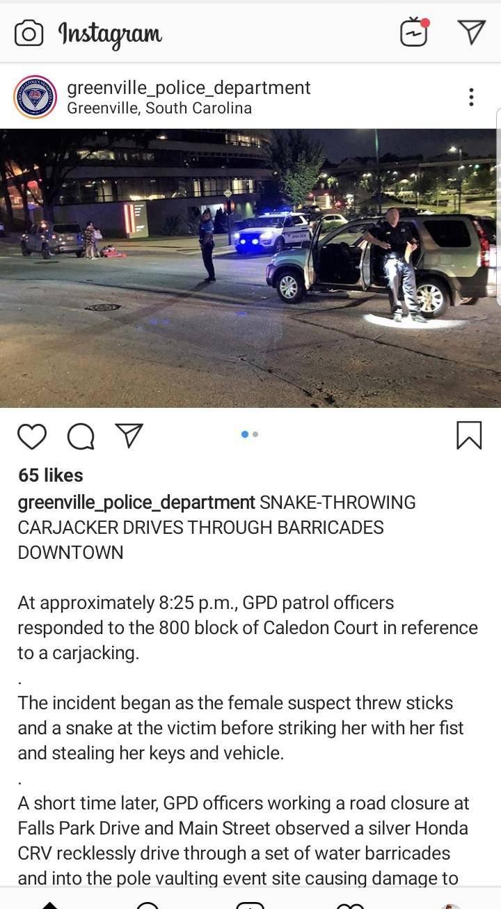 Snake-throwing carjacker drives through barricades downtown #yeaTHATgreenville | Scrolller