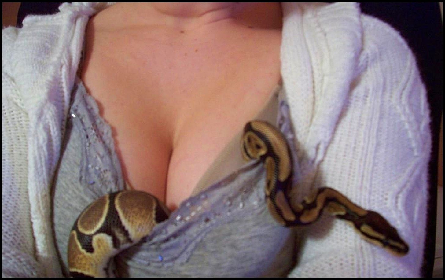 Snakes like body heat | Scrolller