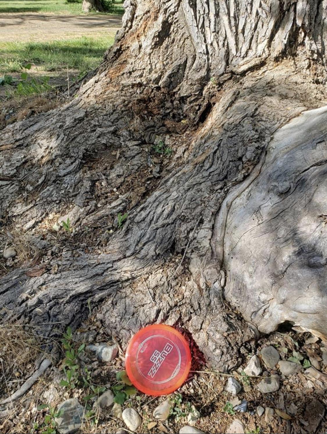 Sneaky snake | Scrolller