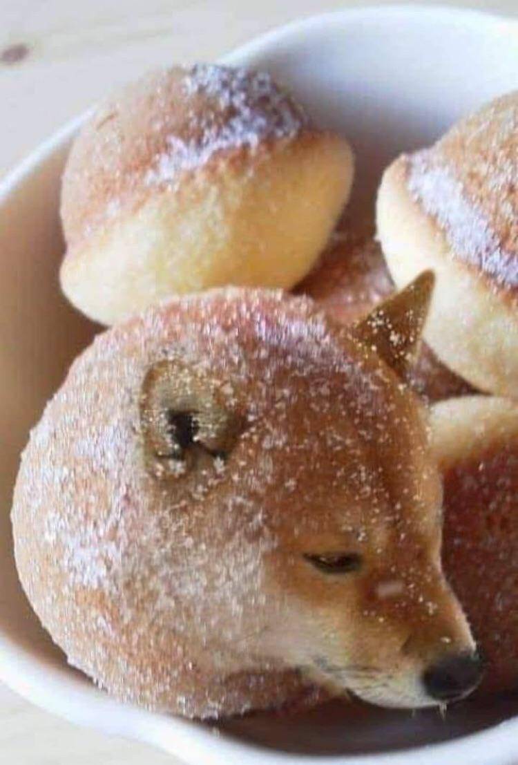 Snowy boi, its from blursed images but its a cute doggo | Scrolller