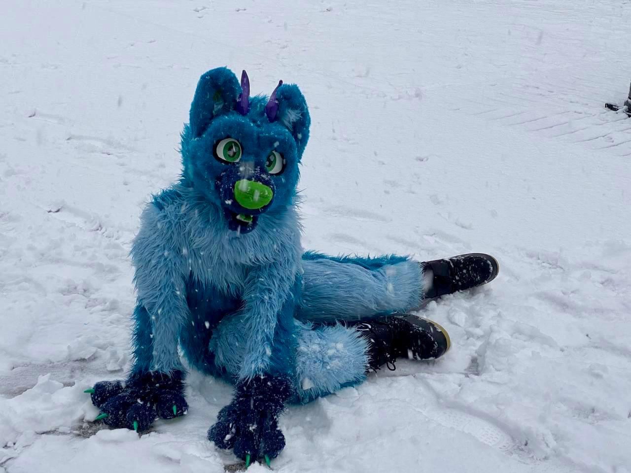 Snowy pupper! Fursuit by me! | Scrolller
