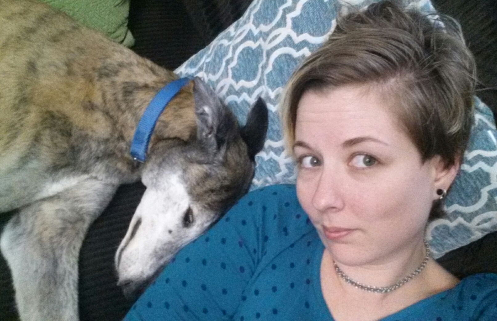 Snuggle Time with my Grey. | Scrolller