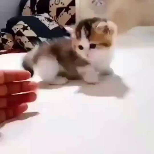 Snuggle time with parents!! | Scrolller