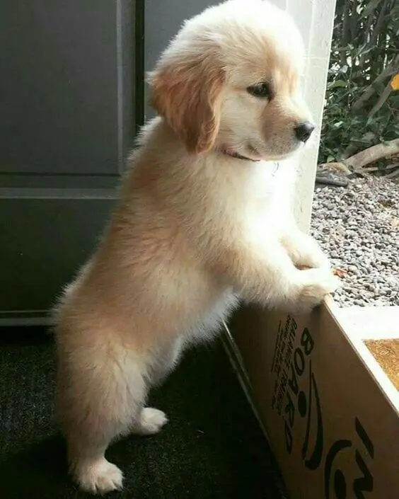 So Adorable😍 Scrolller