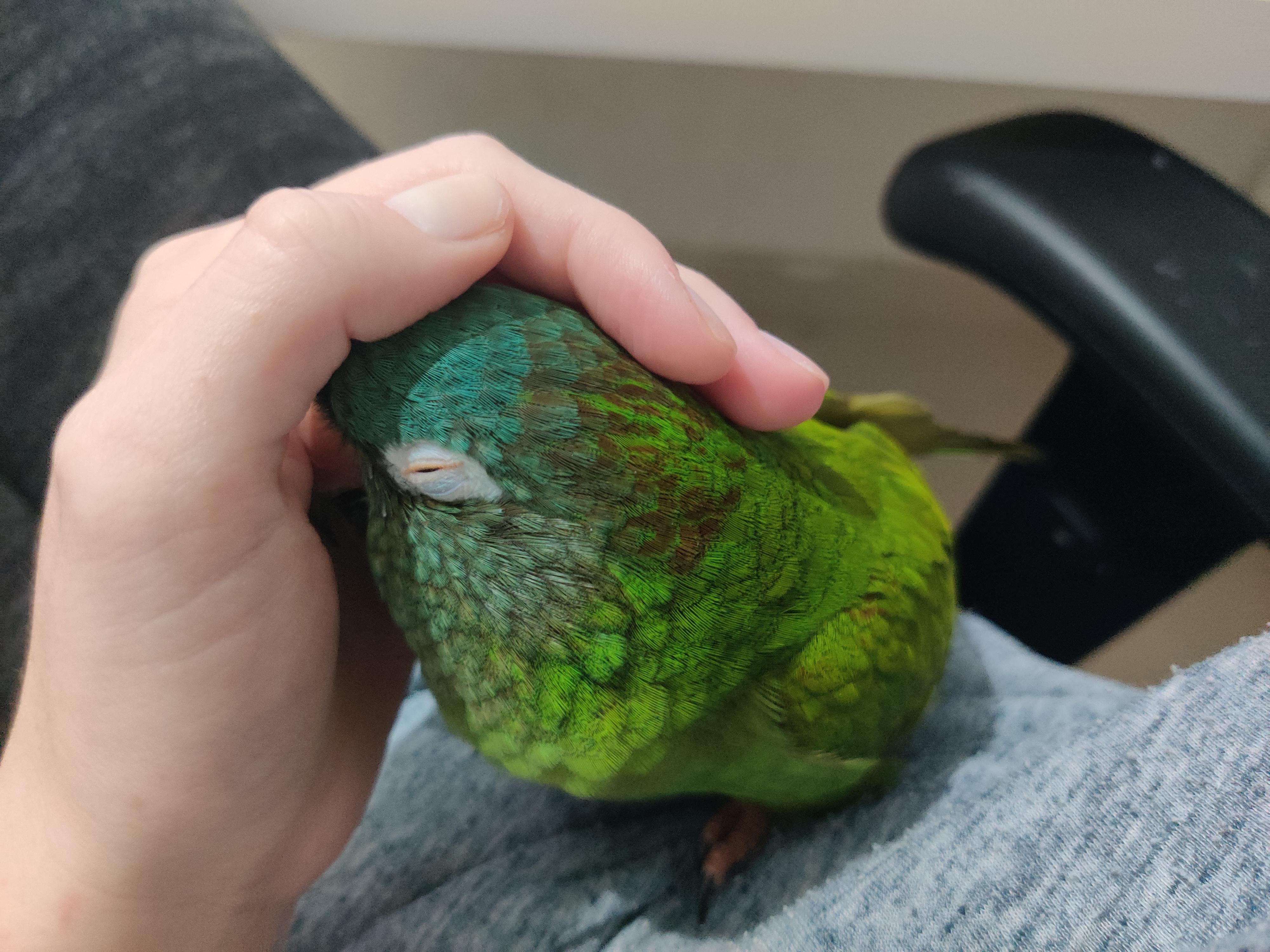 So Comfy | Scrolller