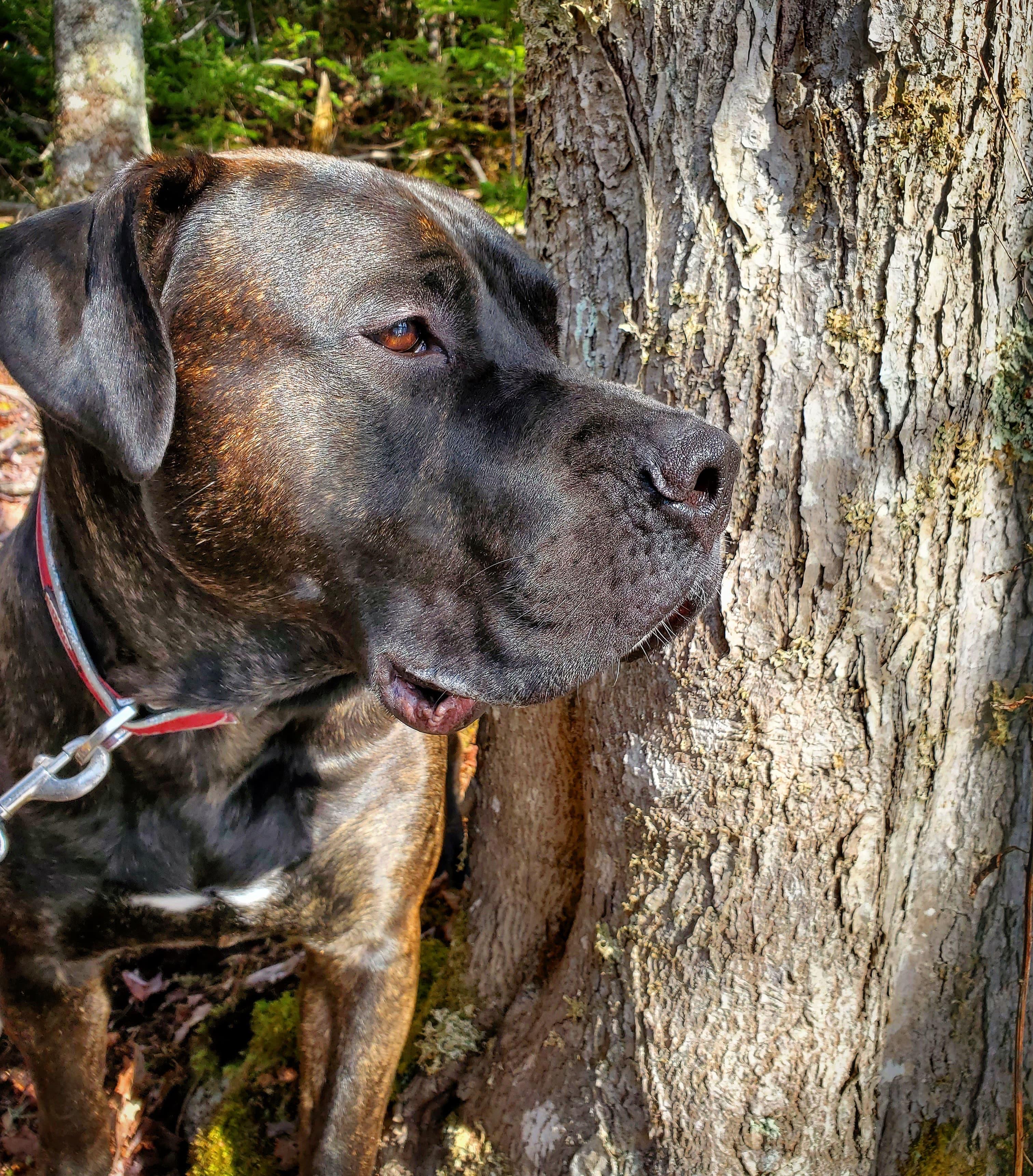 So handsome | Scrolller