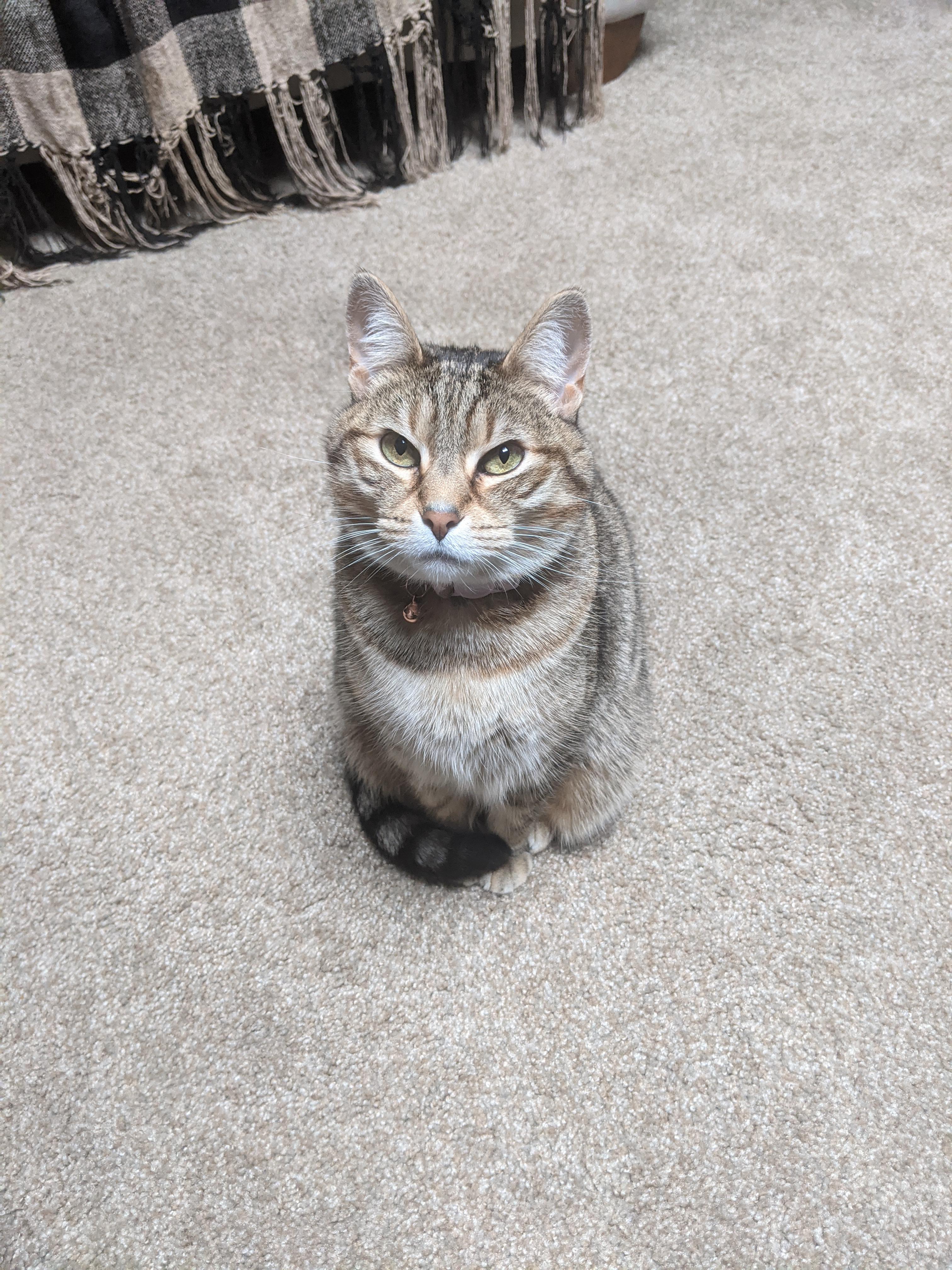 So polite! | Scrolller